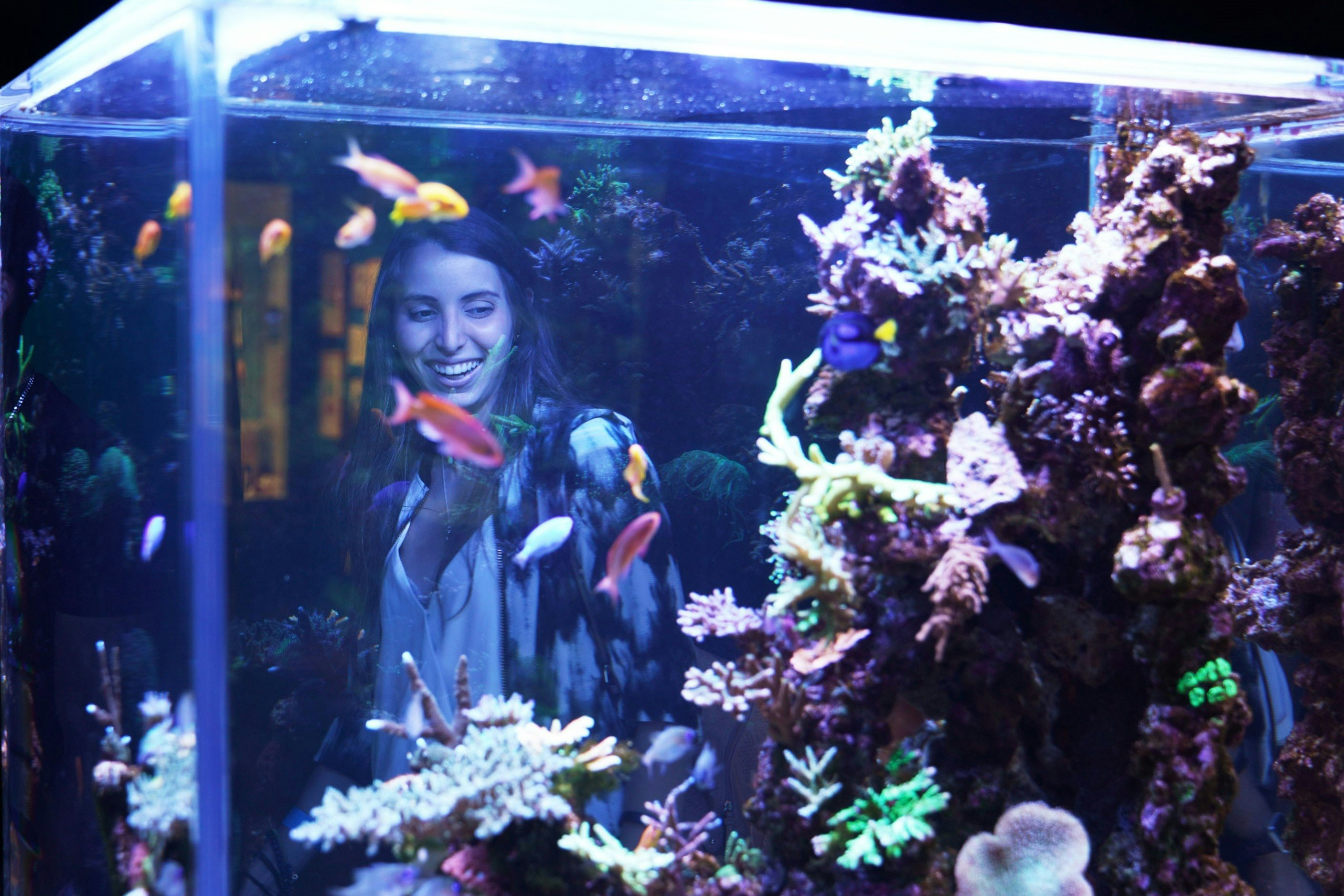 Phillip & Patricia Frost Museum of Science