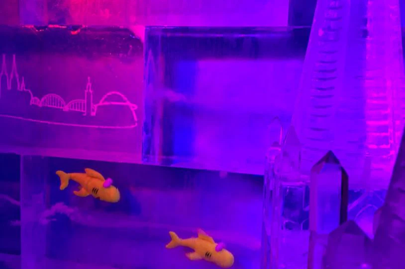 IceBar Cologne tickets | Cologne