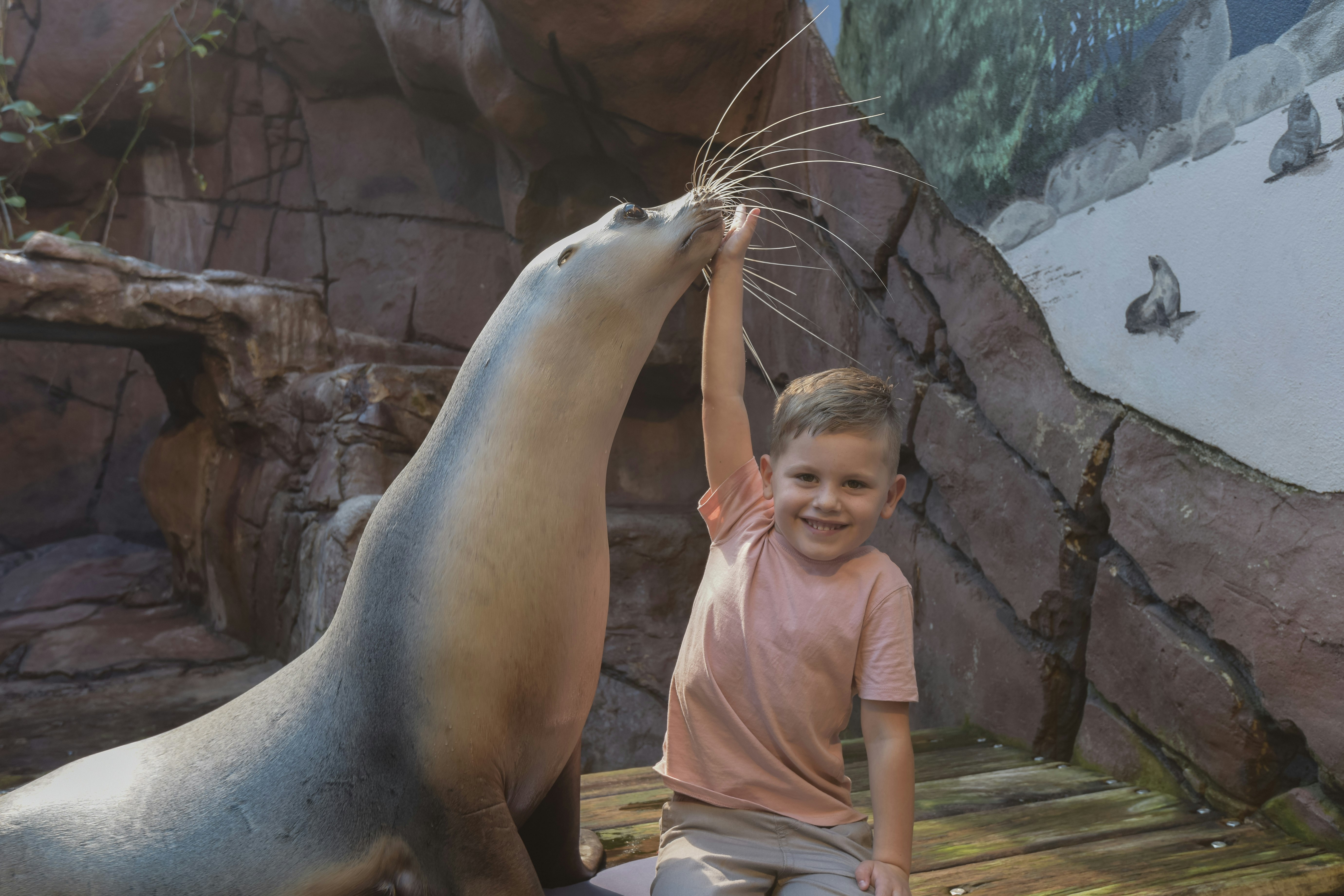 SEA LIFE Sunshine Coast tickets | Mooloolaba