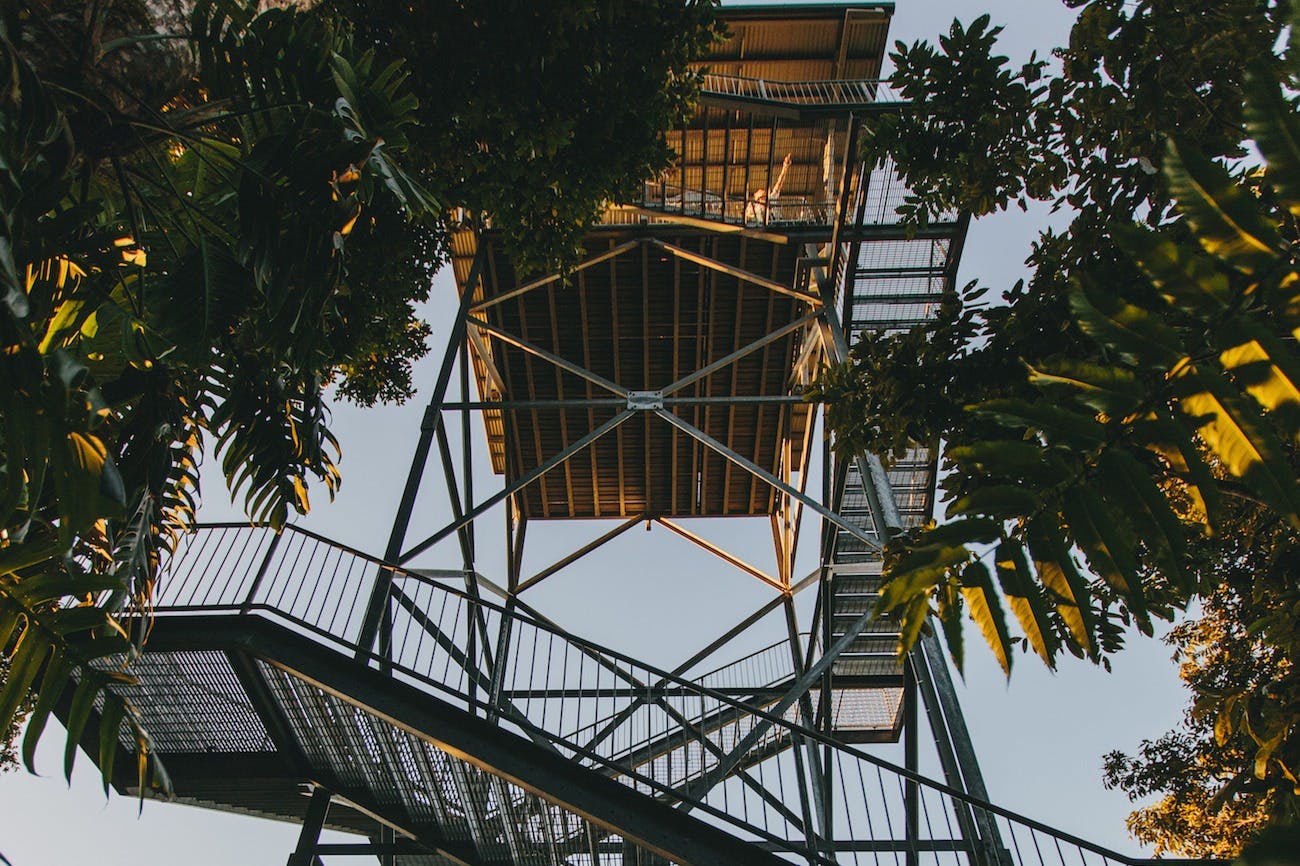 Mamu Tropical Skywalk Tickets | Tiqets