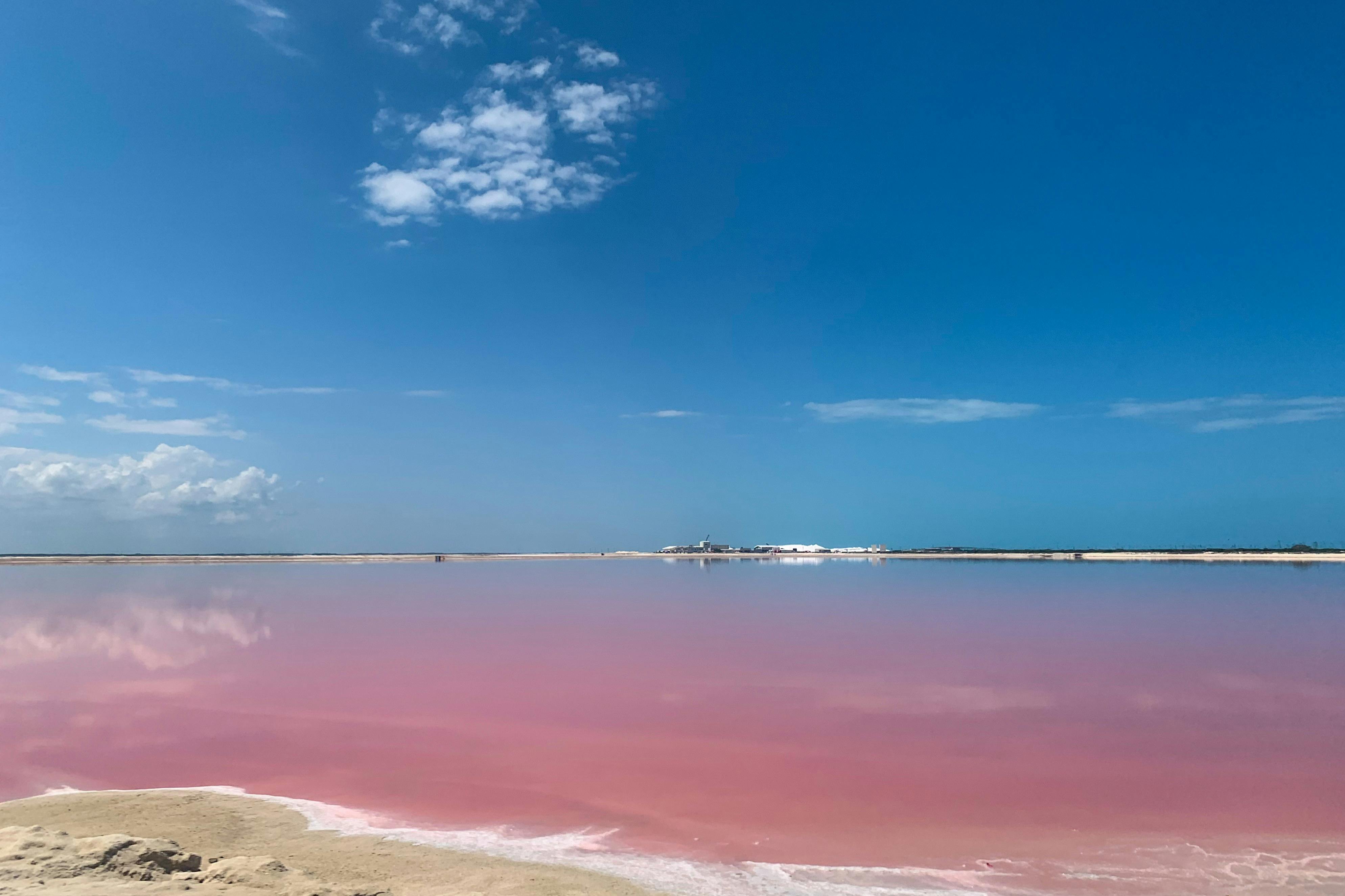 Río Lagartos, Las Coloradas from Cancún or Riviera Maya