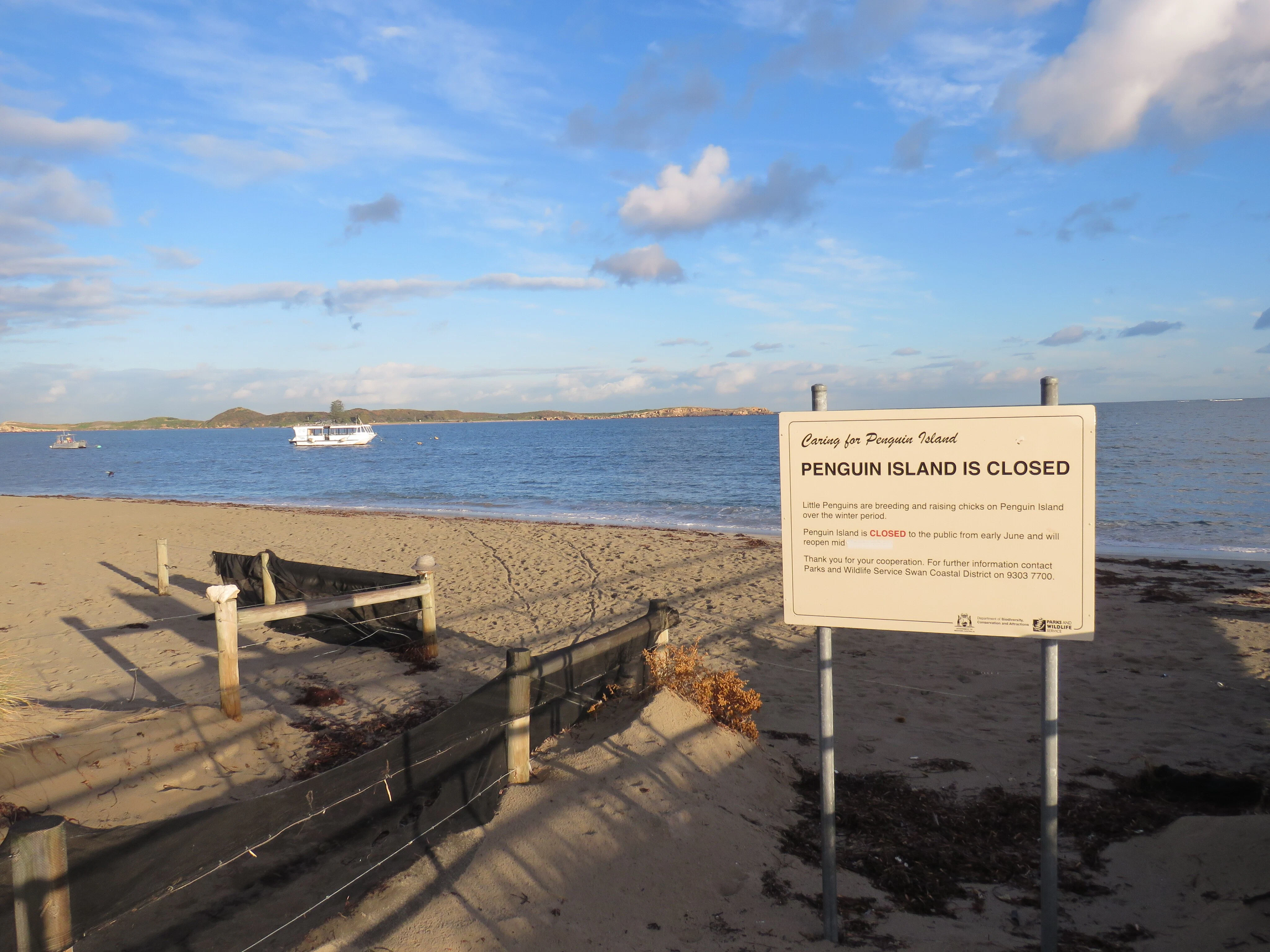 Penguin Island, Perth | Book Tickets, Tours & More