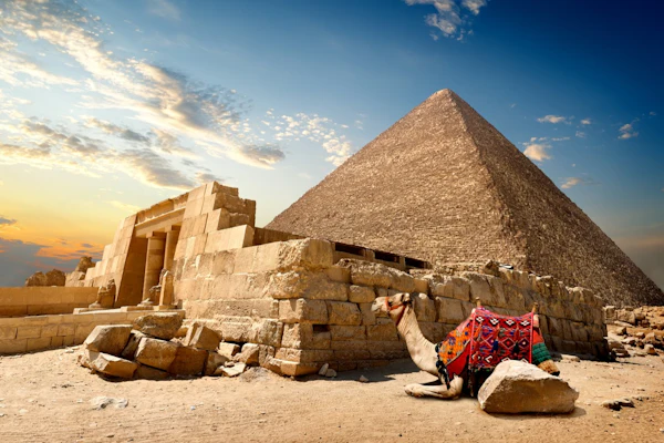 Pyramids of Giza & Grand Egyptian Museum: Entry + Transfers + Optional ...