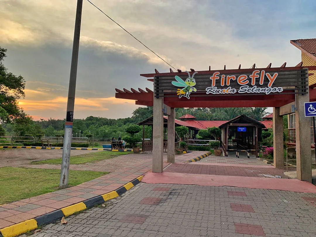 Bilhetes Kuala Selangor Fireflies (Kampung Kuantan) | Kuala Selangor