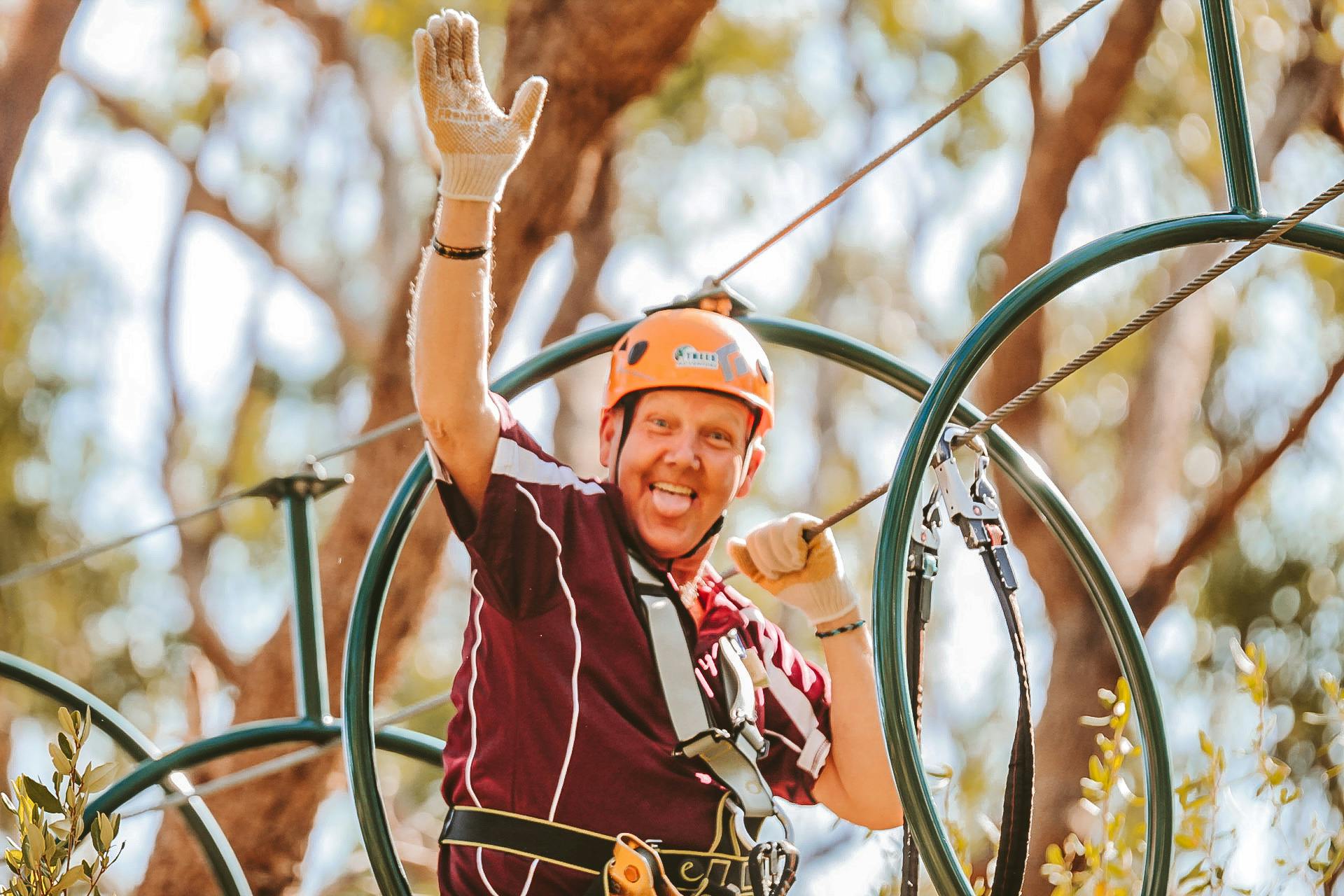 Treetops Adventure: Belgrave Park | Tiqets