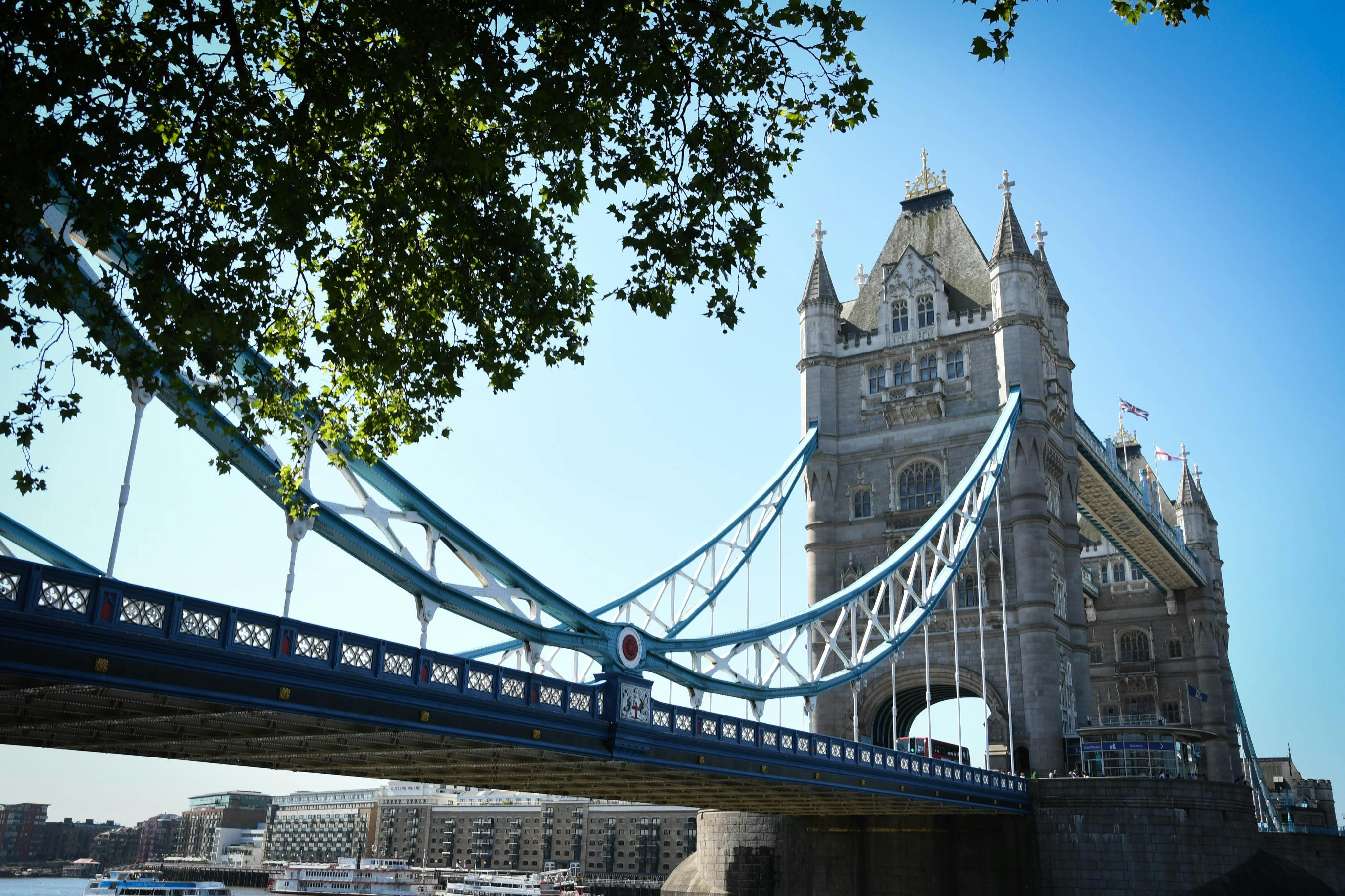 London: Tower Bridge Entry & 30+ Top Sights Tour Ticket