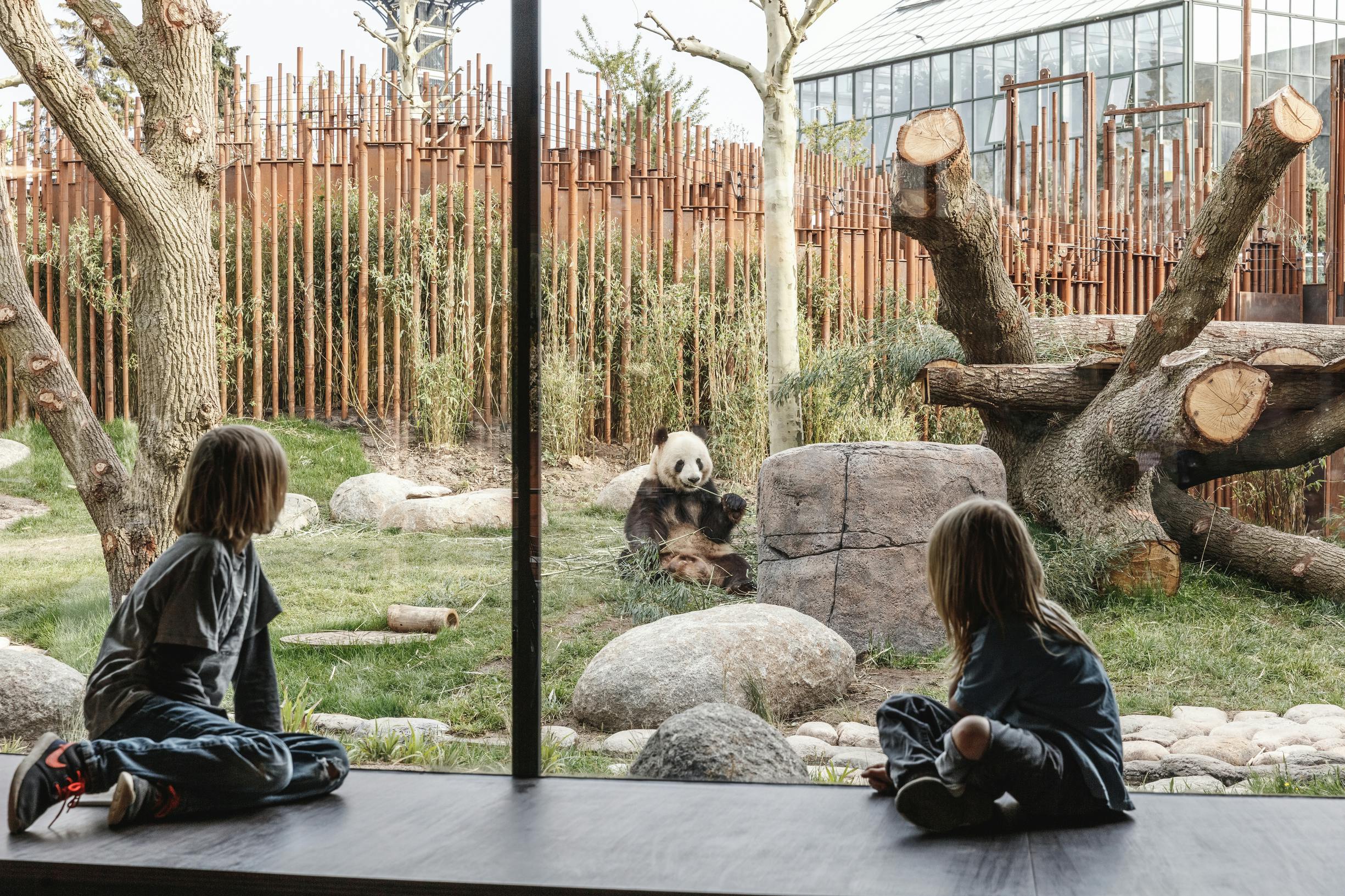 Tickets for Copenhagen ZOO: Skip The Line | Tiqets
