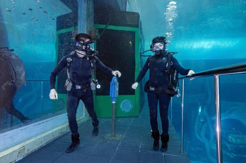 Deep Dive w Dubaju: Zwiedzanie zatopionego miasta z przewodnikiem | Zarezerwuj online