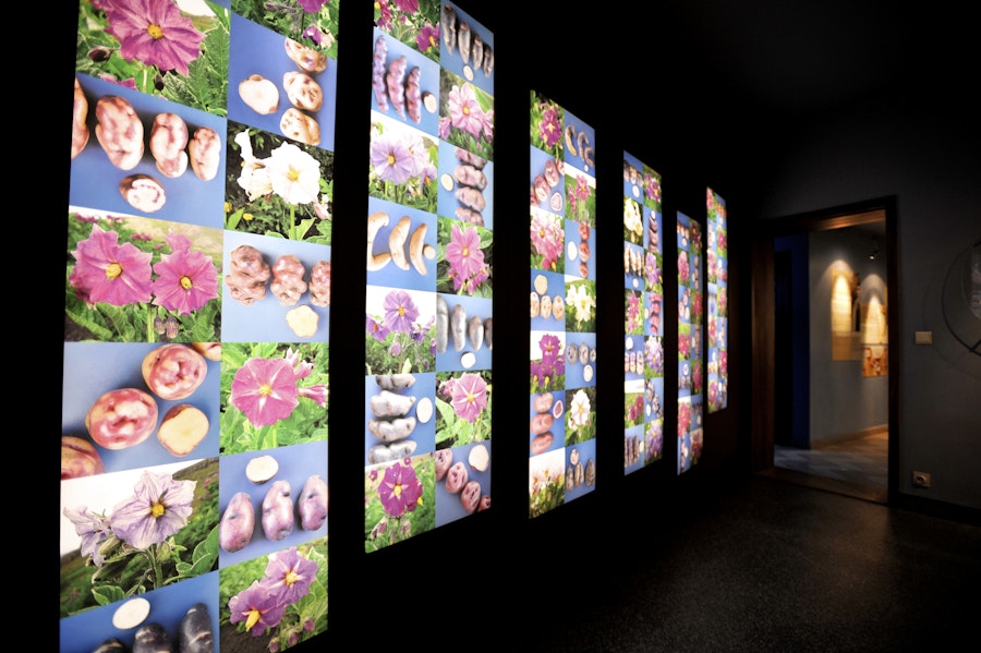 Musée de la Frite de Bruges, Billets pour le Musée des Frites ...