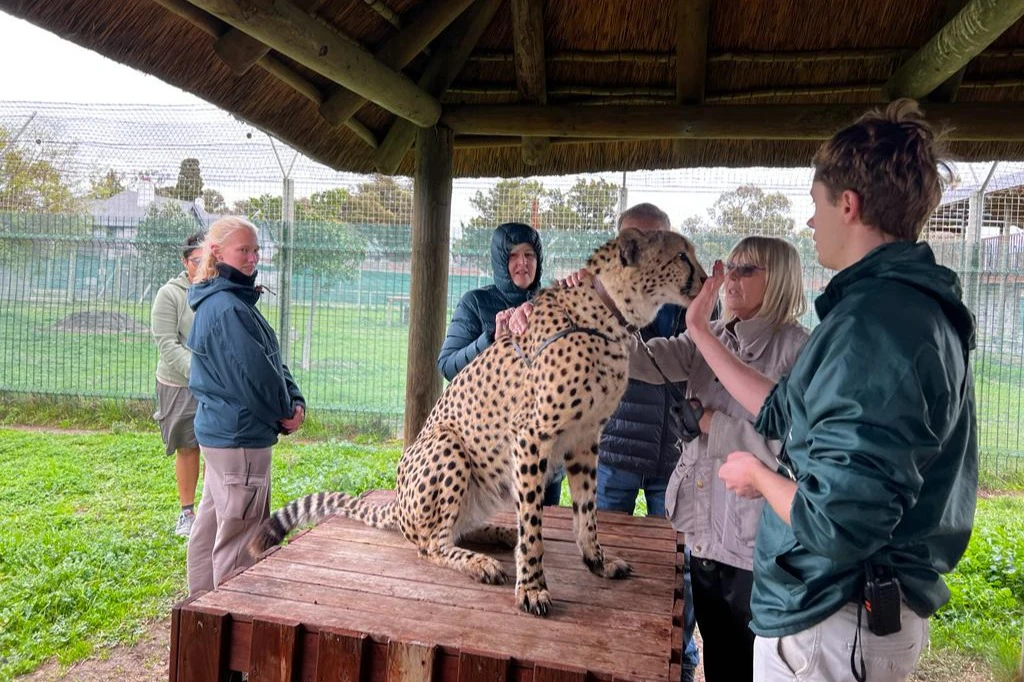 Cheetah Outreach tickets | Cape Town