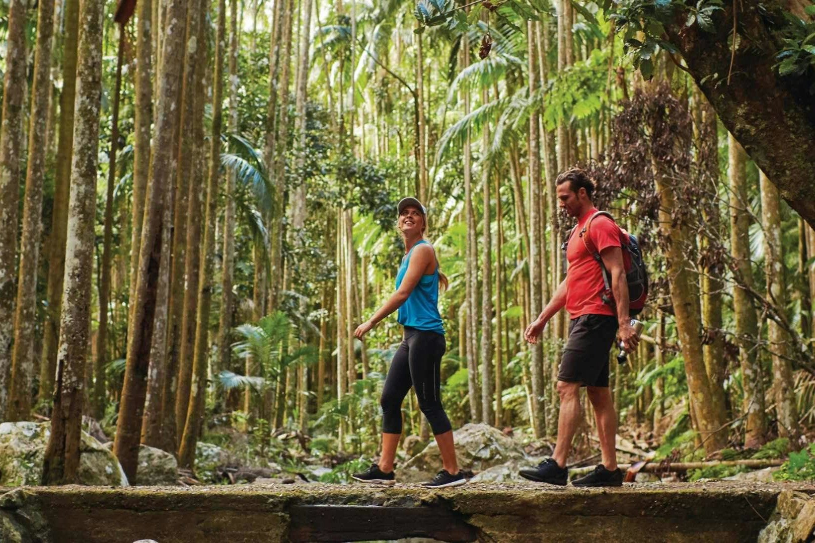 Hop-on Hop-off Tours Brisbane