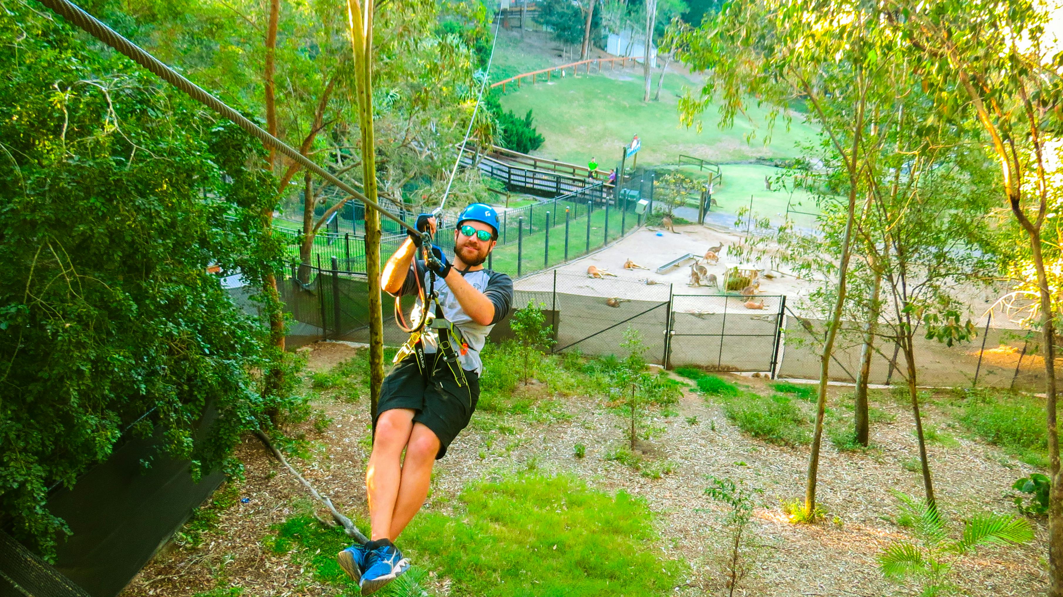TreeTop Challenge Currumbin Adventure Park