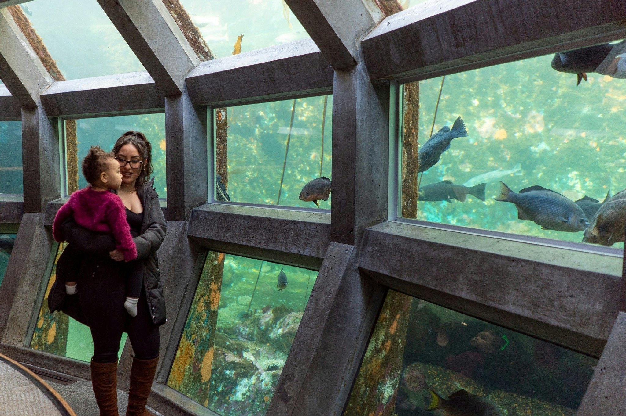 Seattle Aquarium | Tiqets