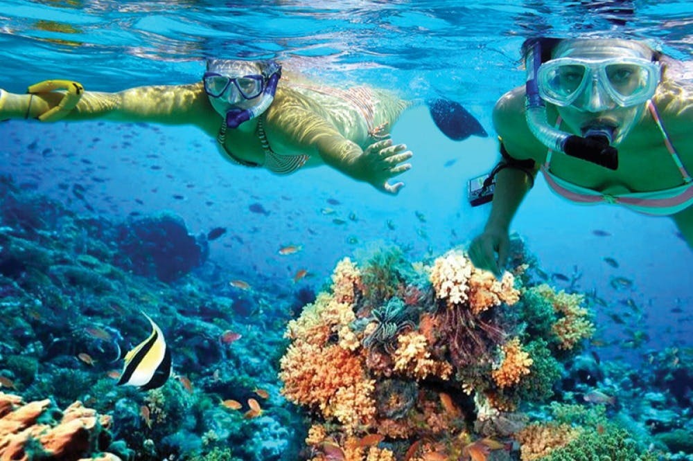 Premium Catamaran Tour to Isla Mujeres Tickets | Tiqets