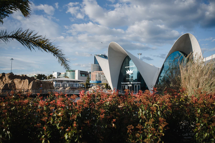 Valencia Oceanografic Tickets - Hellotickets
