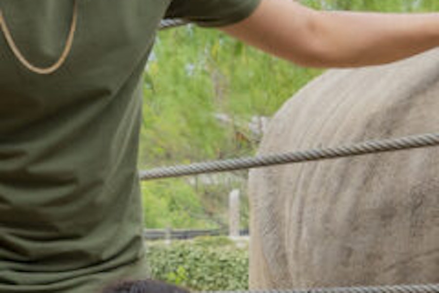 San Antonio Zoo Tickets - Hellotickets