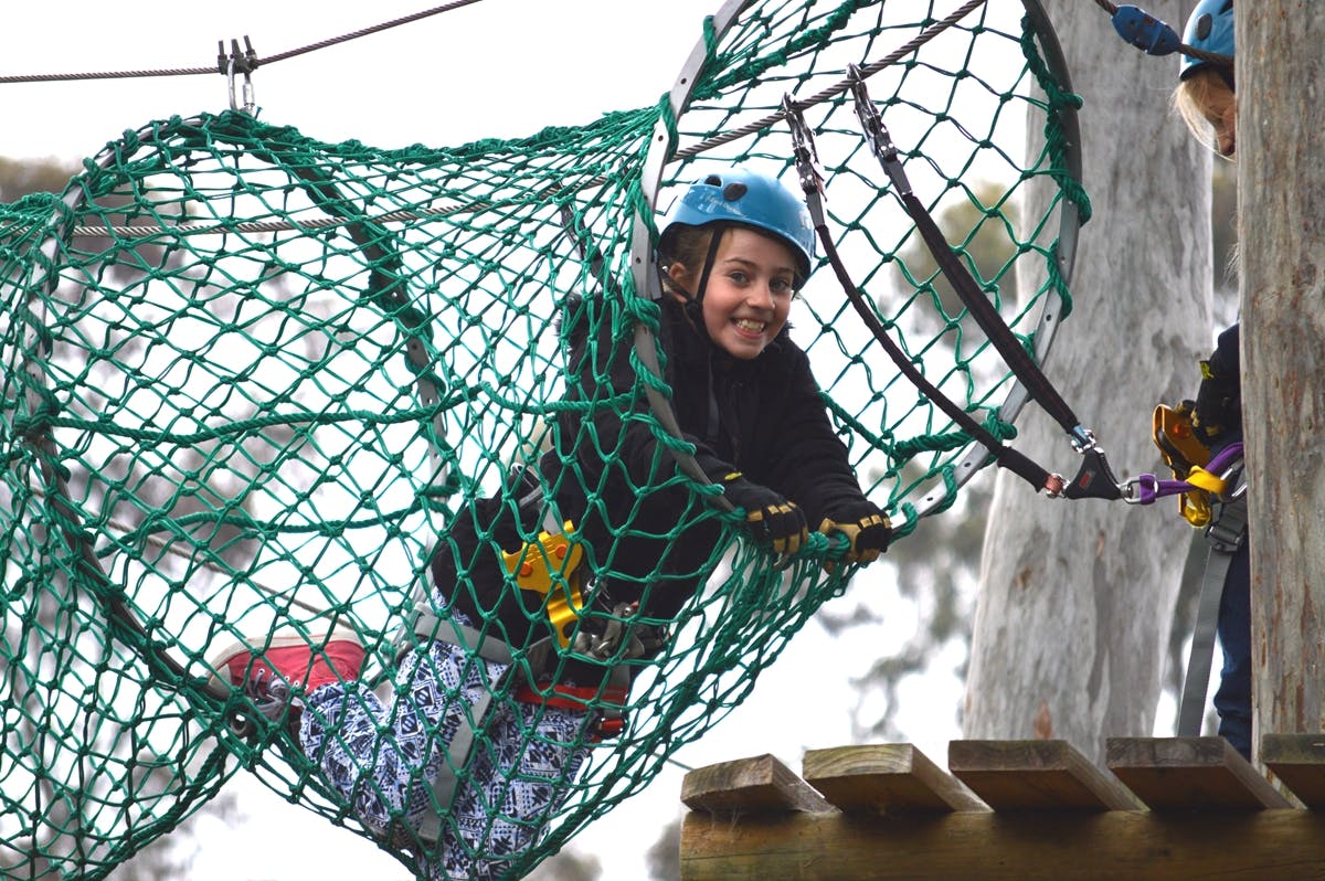 Treetops Adventure: Belgrave Park | Tiqets