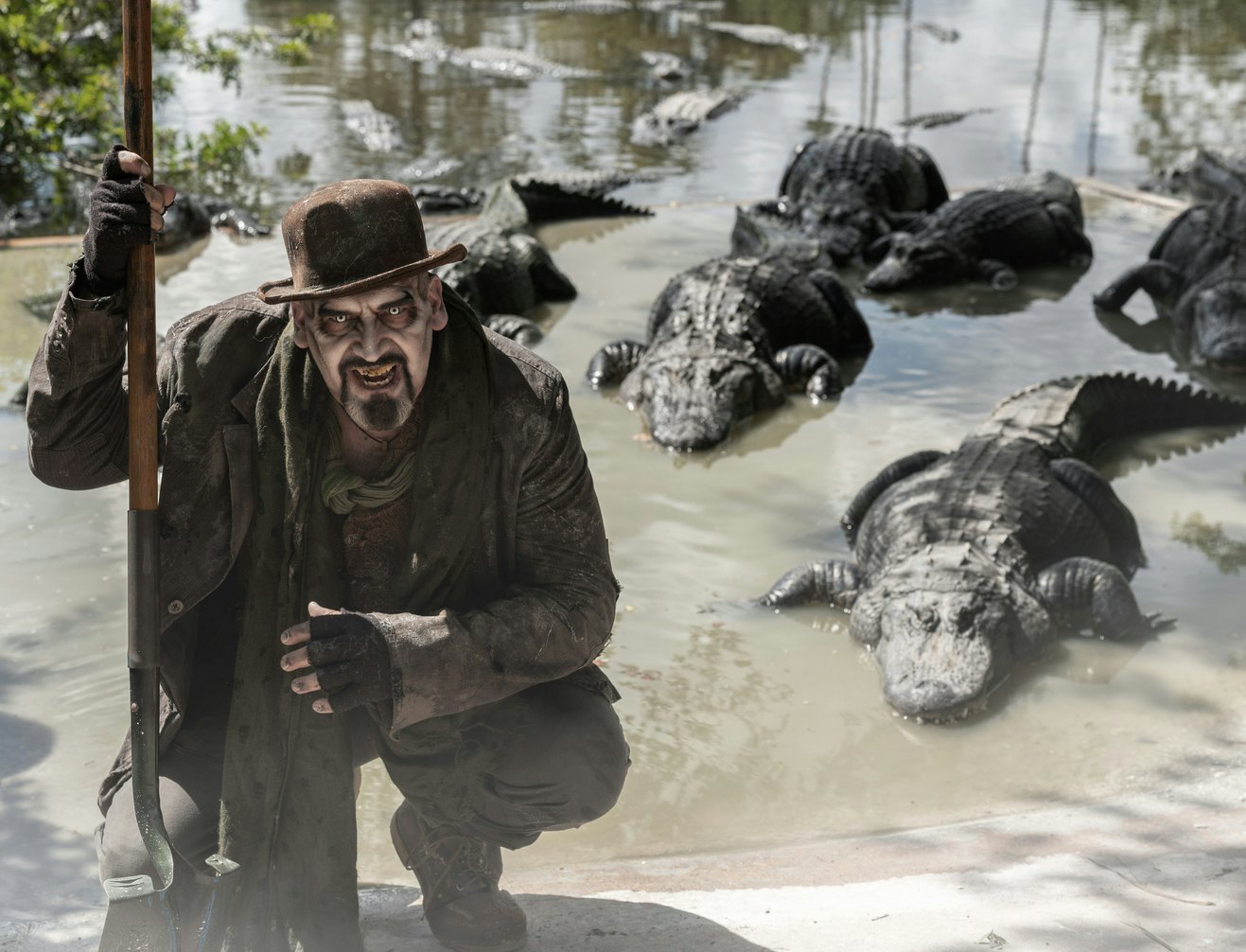 Mostra: Gli alligatori, i fantasmi e i folletti di Gatorland, Gatorland ...