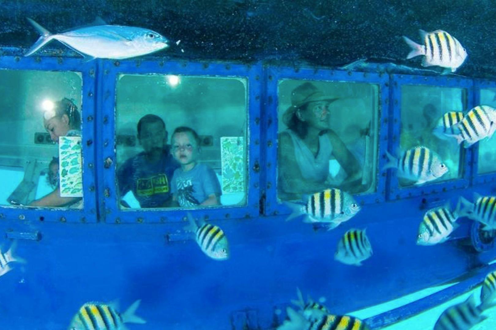 From Cancún: Glass Bottom Boat Underwater Tour Open Bar