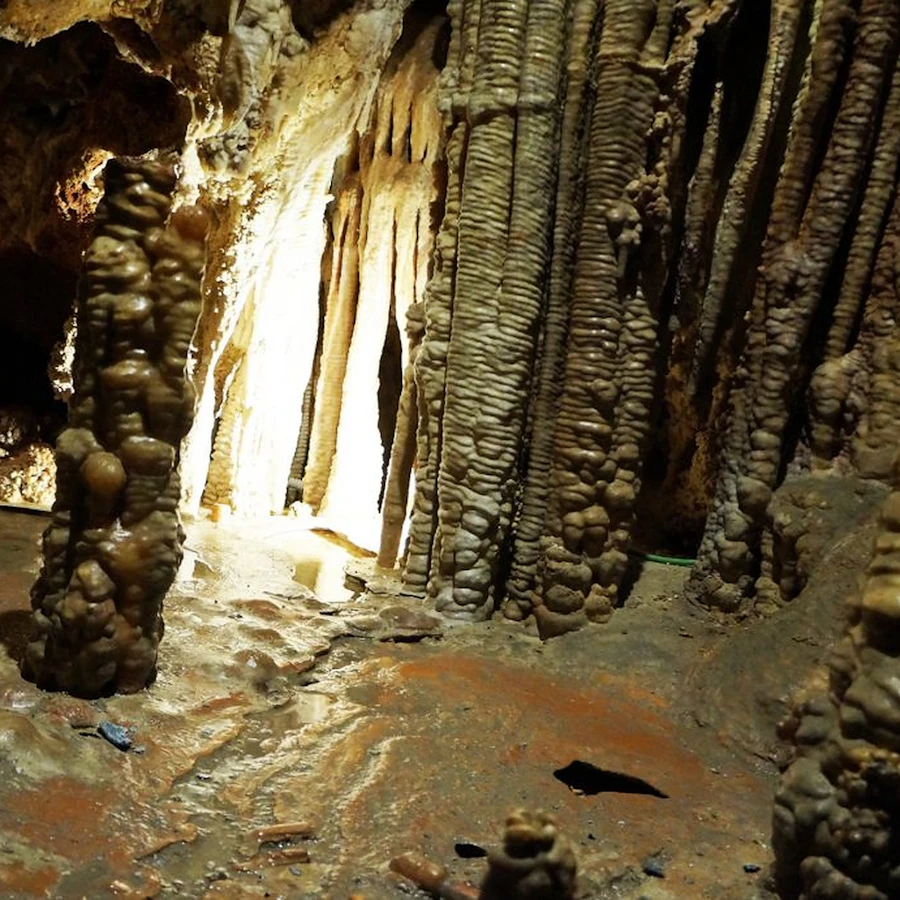 Entradas para las Cueva de Génova en Mallorca - Hellotickets