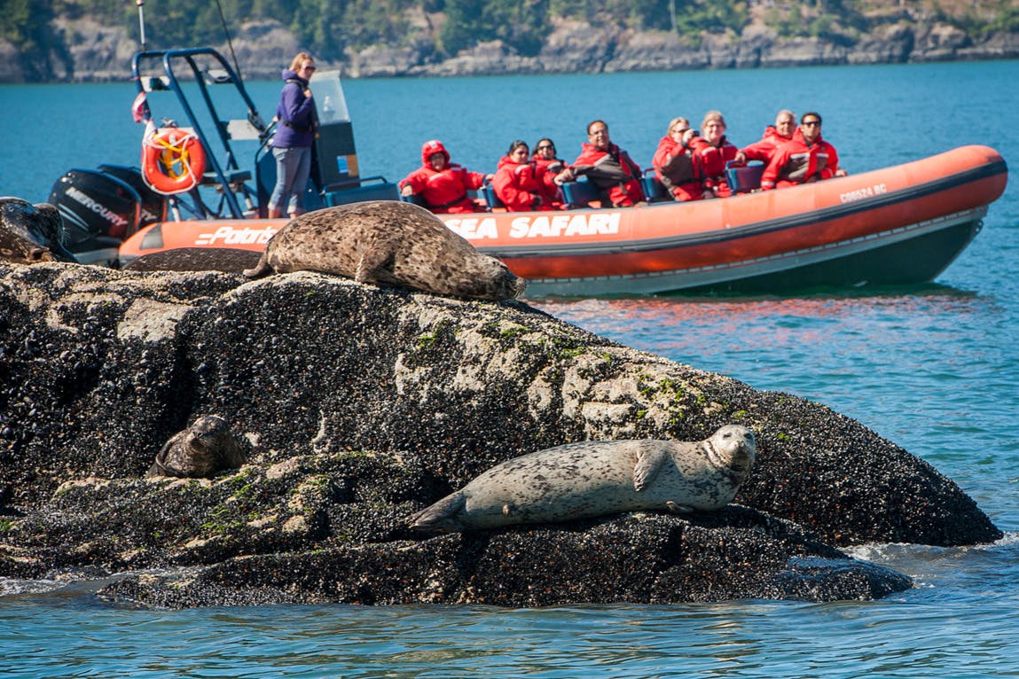 Sewell's Marina Tickets - West Vancouver | Tiqets.com