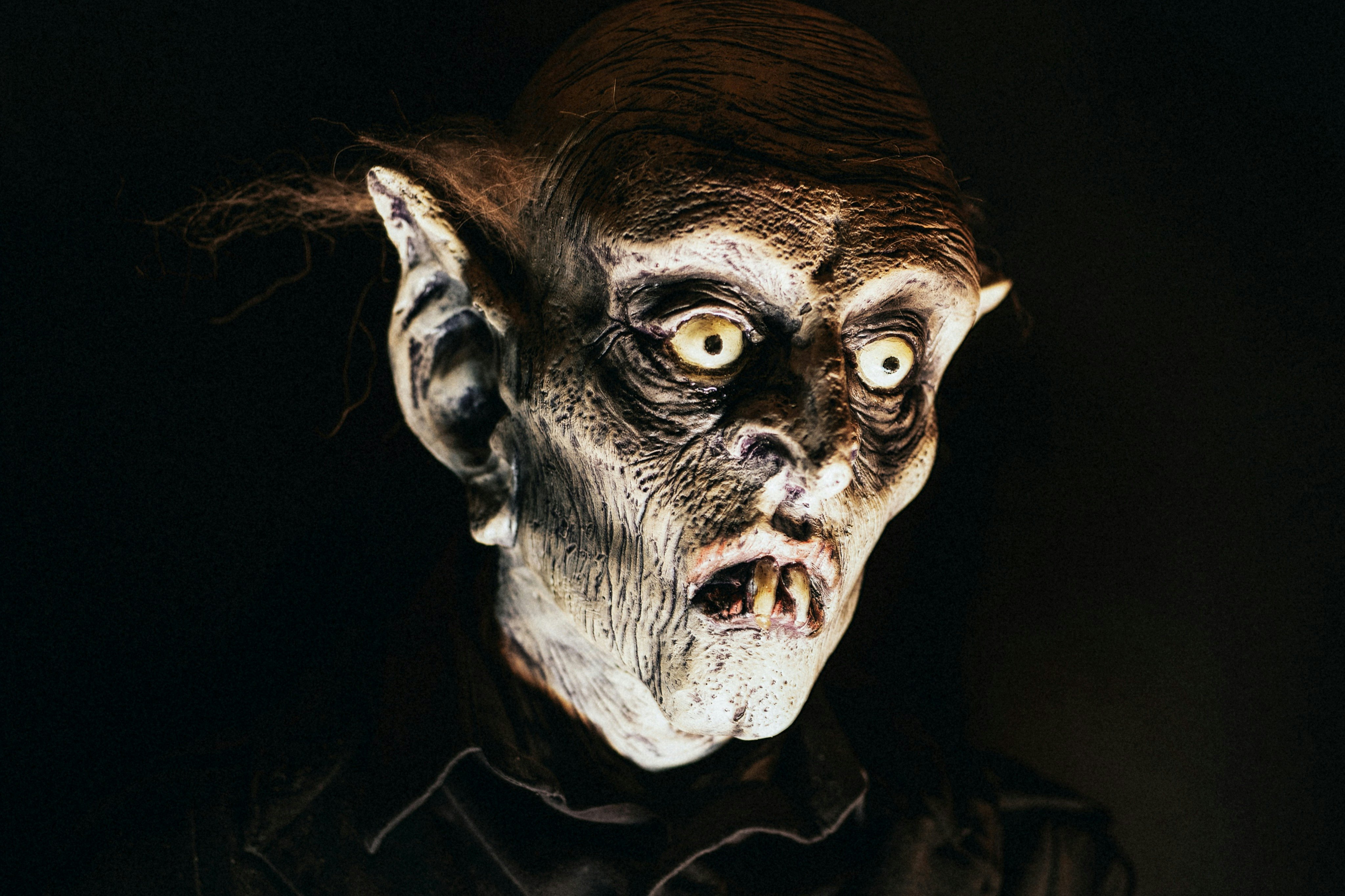 Museo de los Monstruos de Tom Devlin | Reserva entradas, tours y más