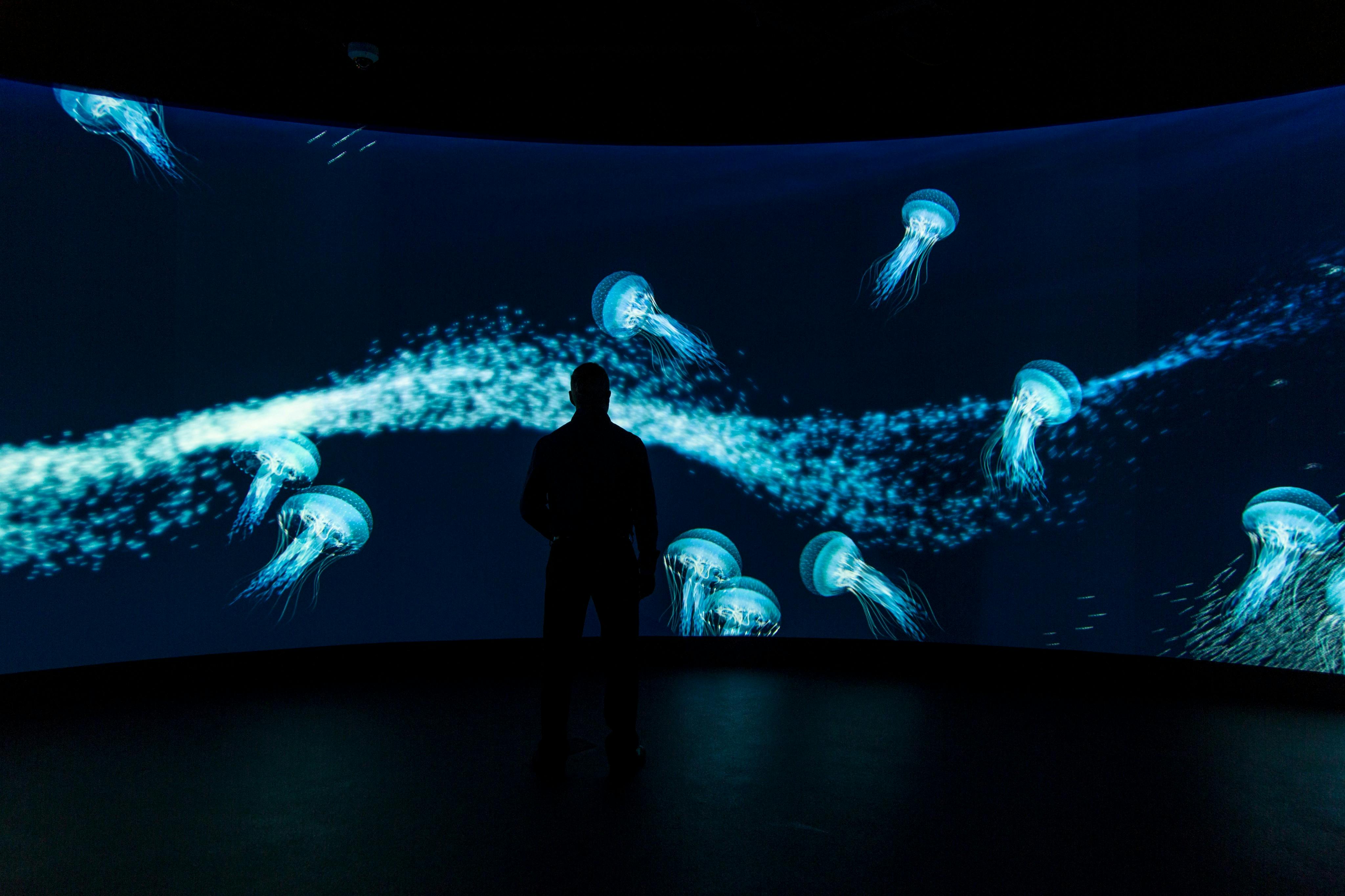 Frost Museum of Science + Superblue Miami