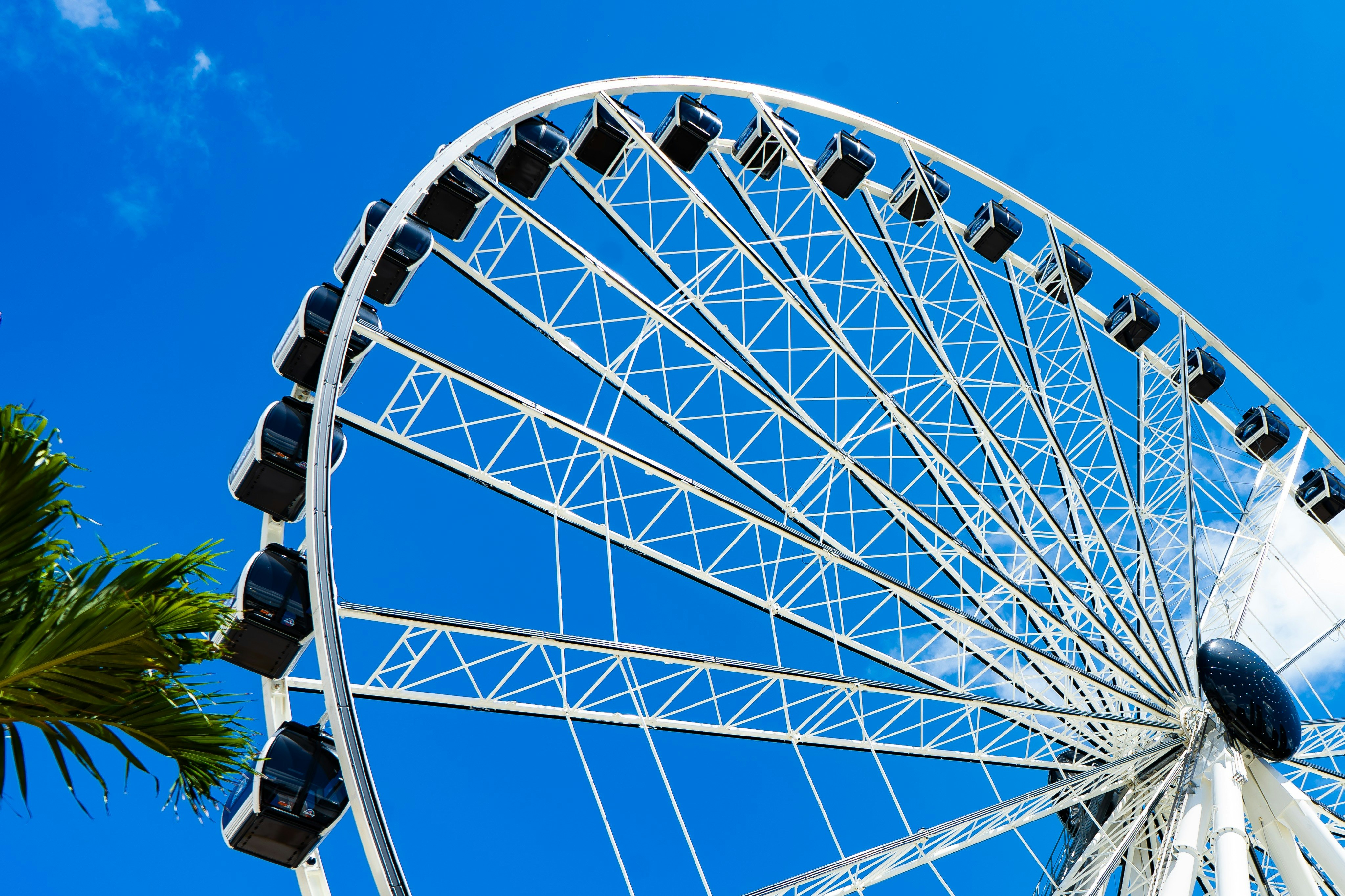 Skyviews Miami Observation Wheel Entry Ticket | Tiqets
