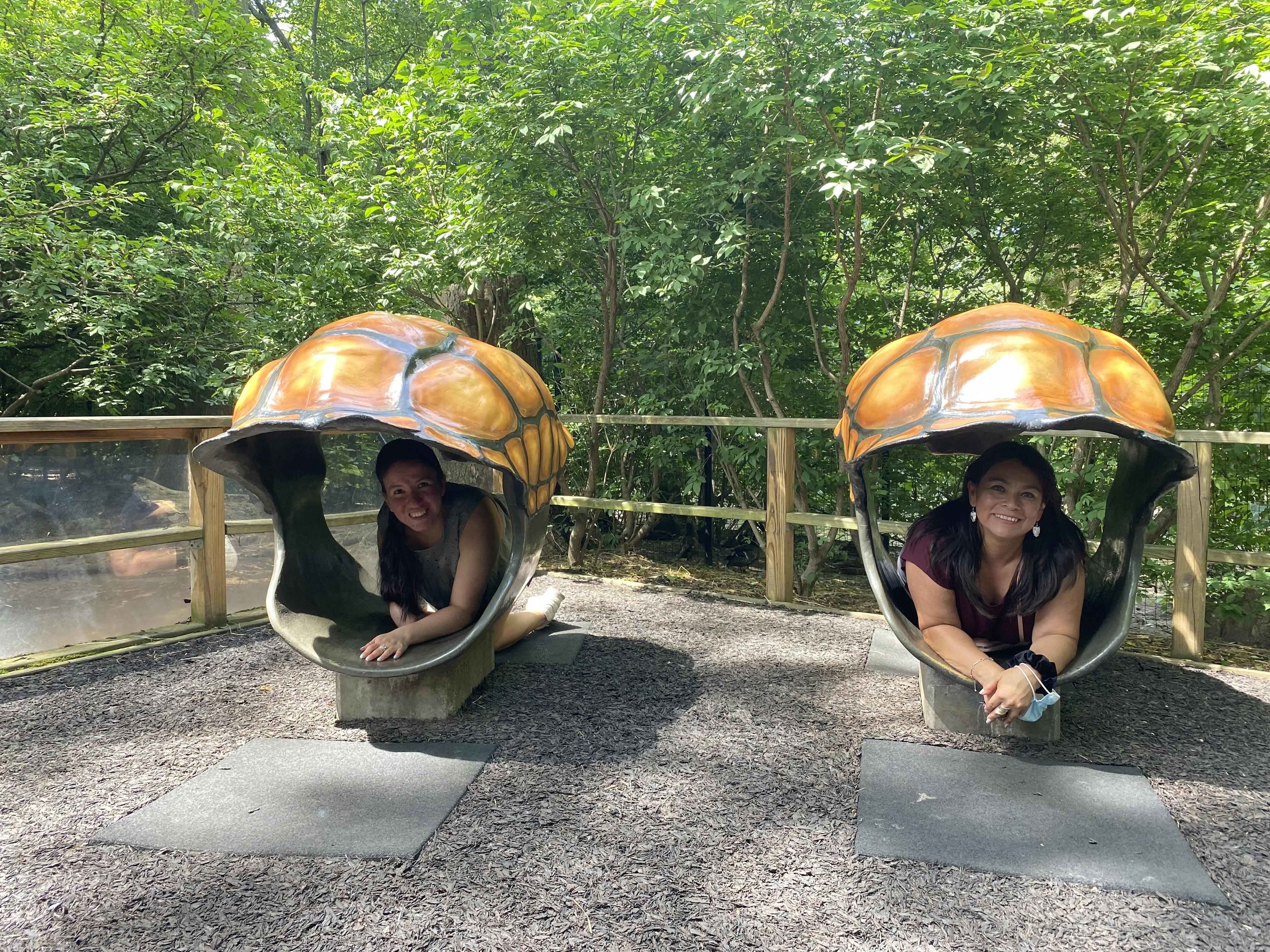 Tickets For Bronx Zoo, New York City | Tiqets