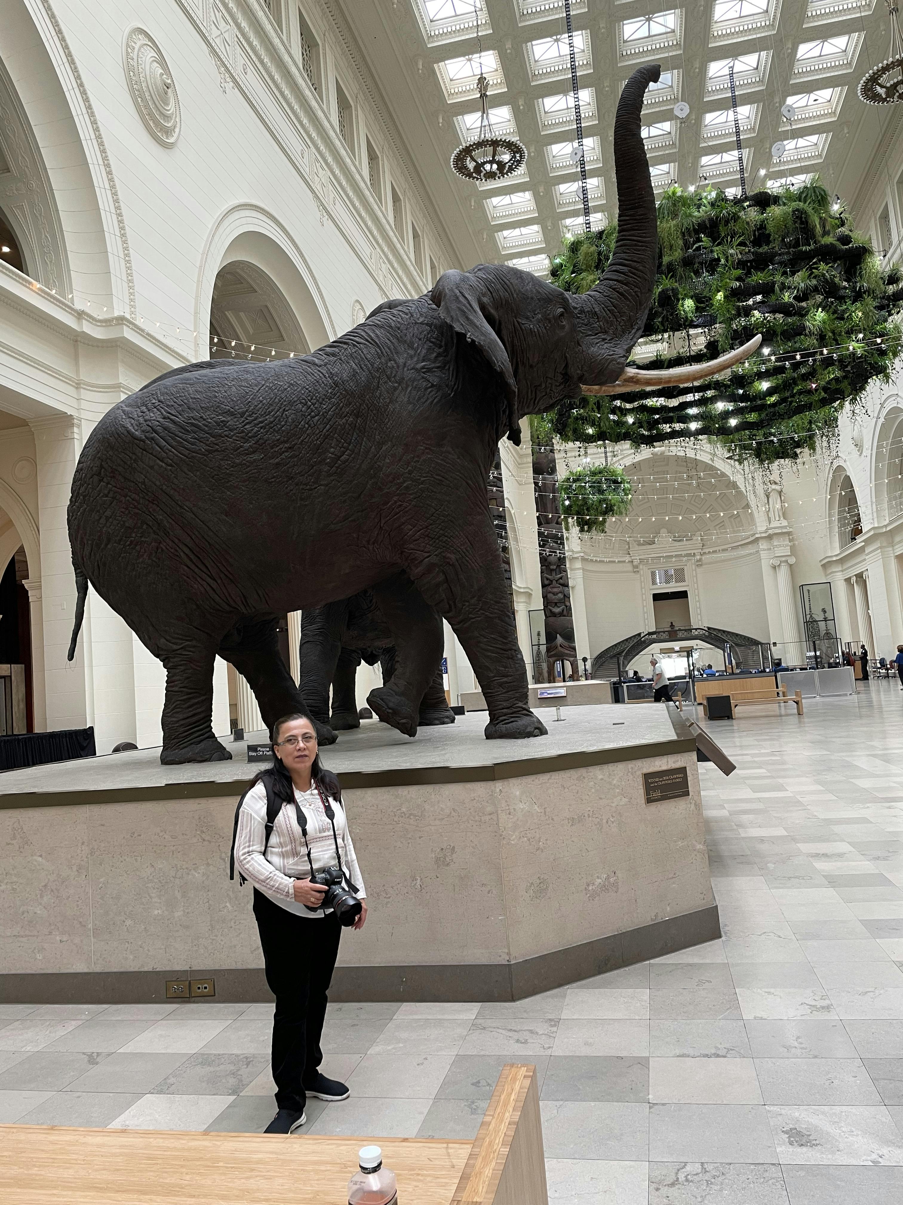 The Field Museum Tickets - Chicago | Tiqets.com