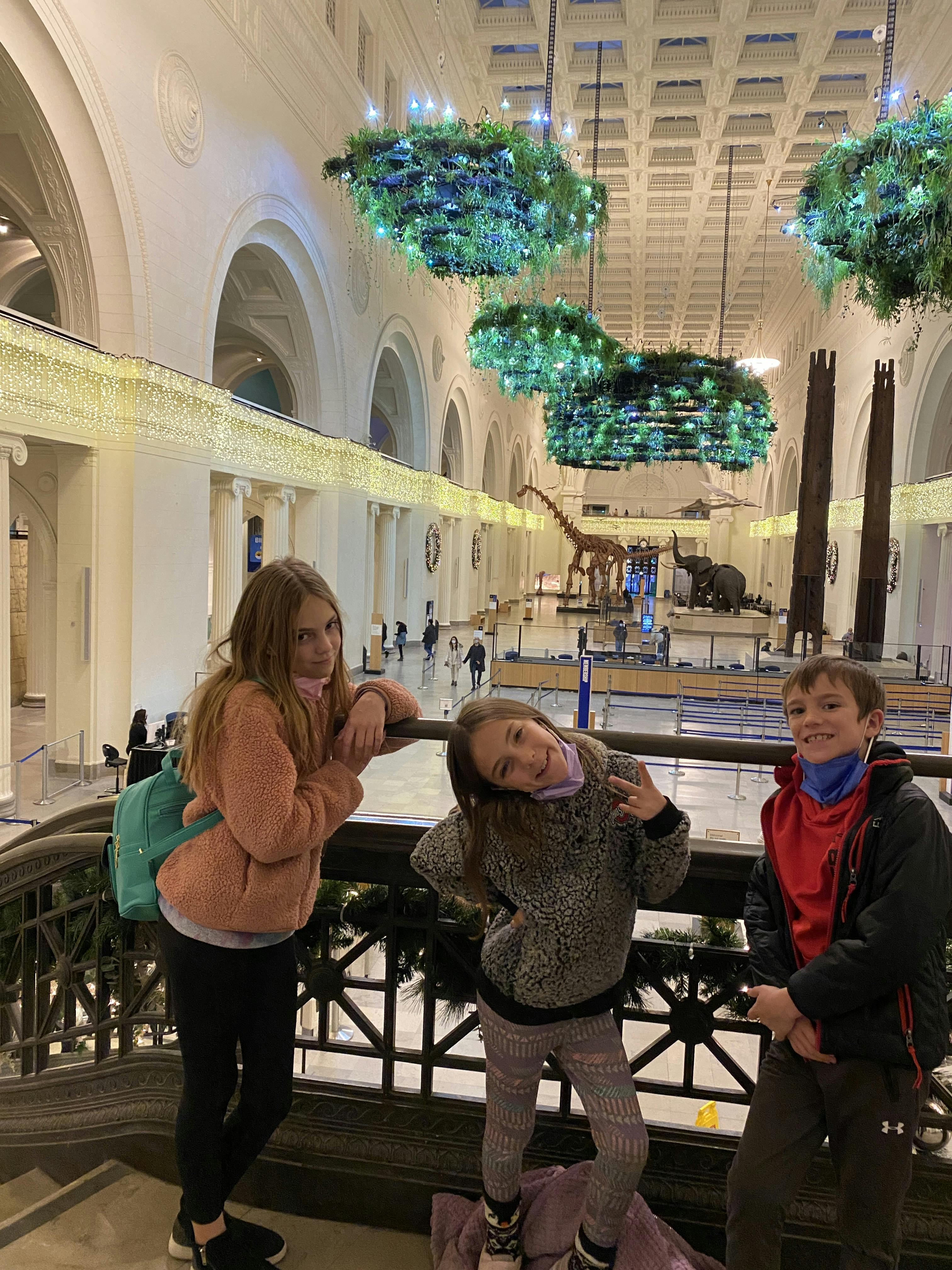 The Field Museum Tickets - Chicago | Tiqets.com