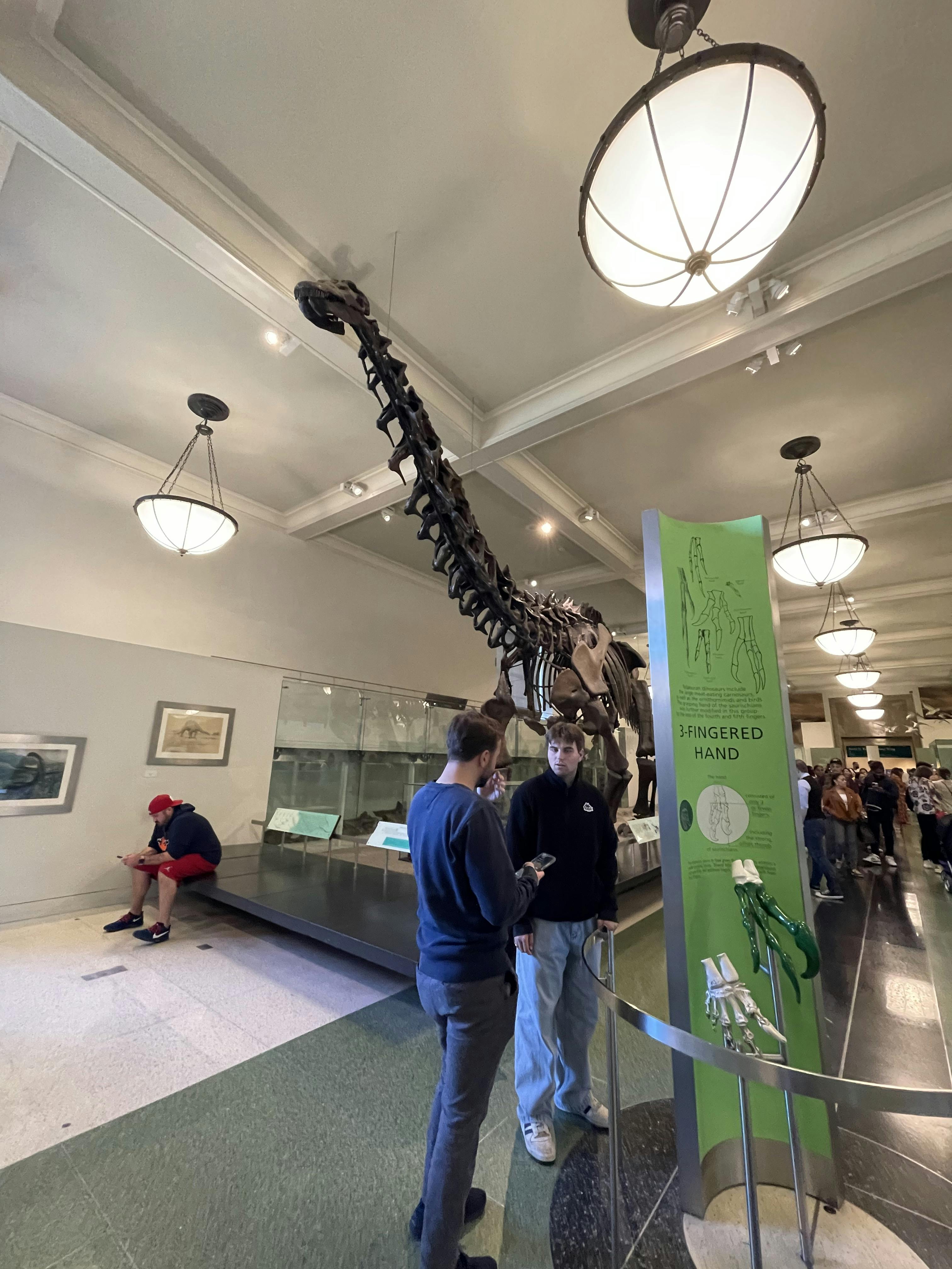 American Museum of Natural History Tickets | Tiqets