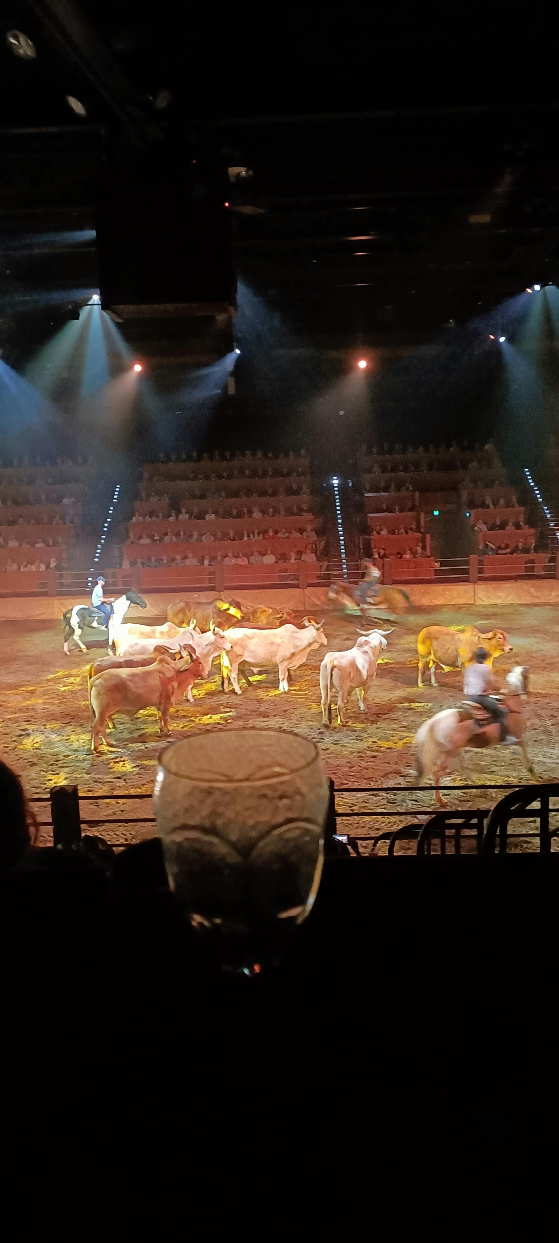 Australian Outback Spectacular tickets | Oxenford