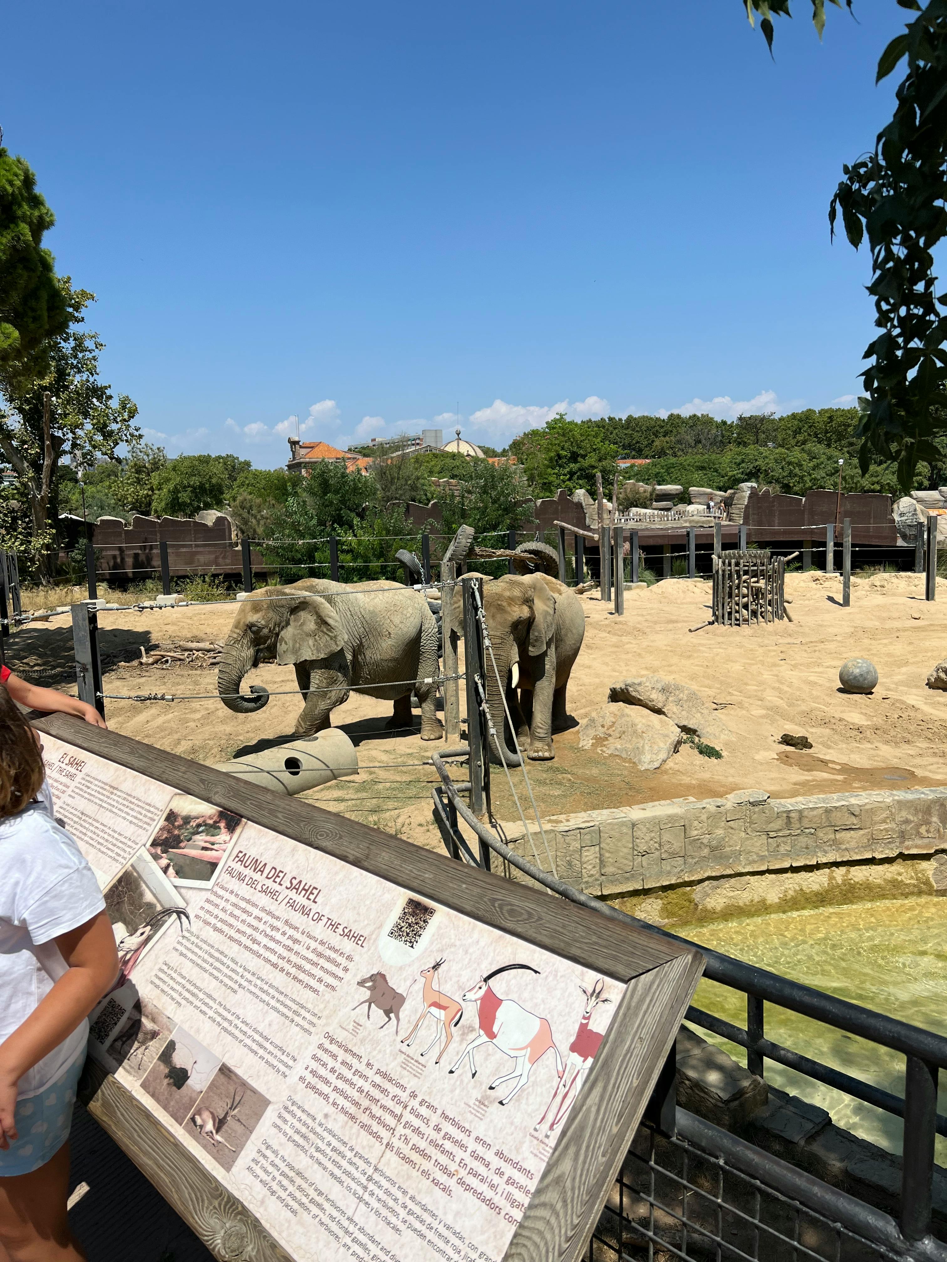Barcelona Zoo Tickets - Barcelona | Tiqets.com