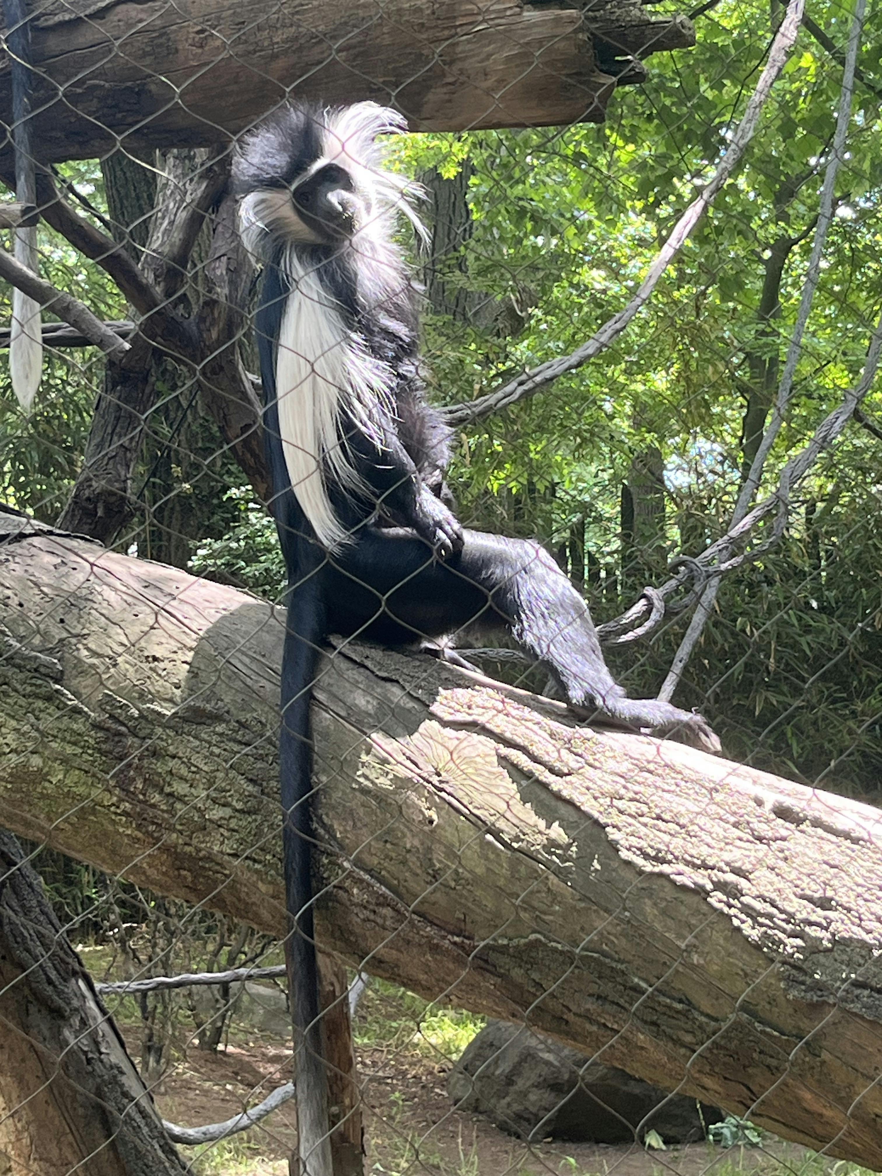 Tickets For Bronx Zoo, New York City | Tiqets