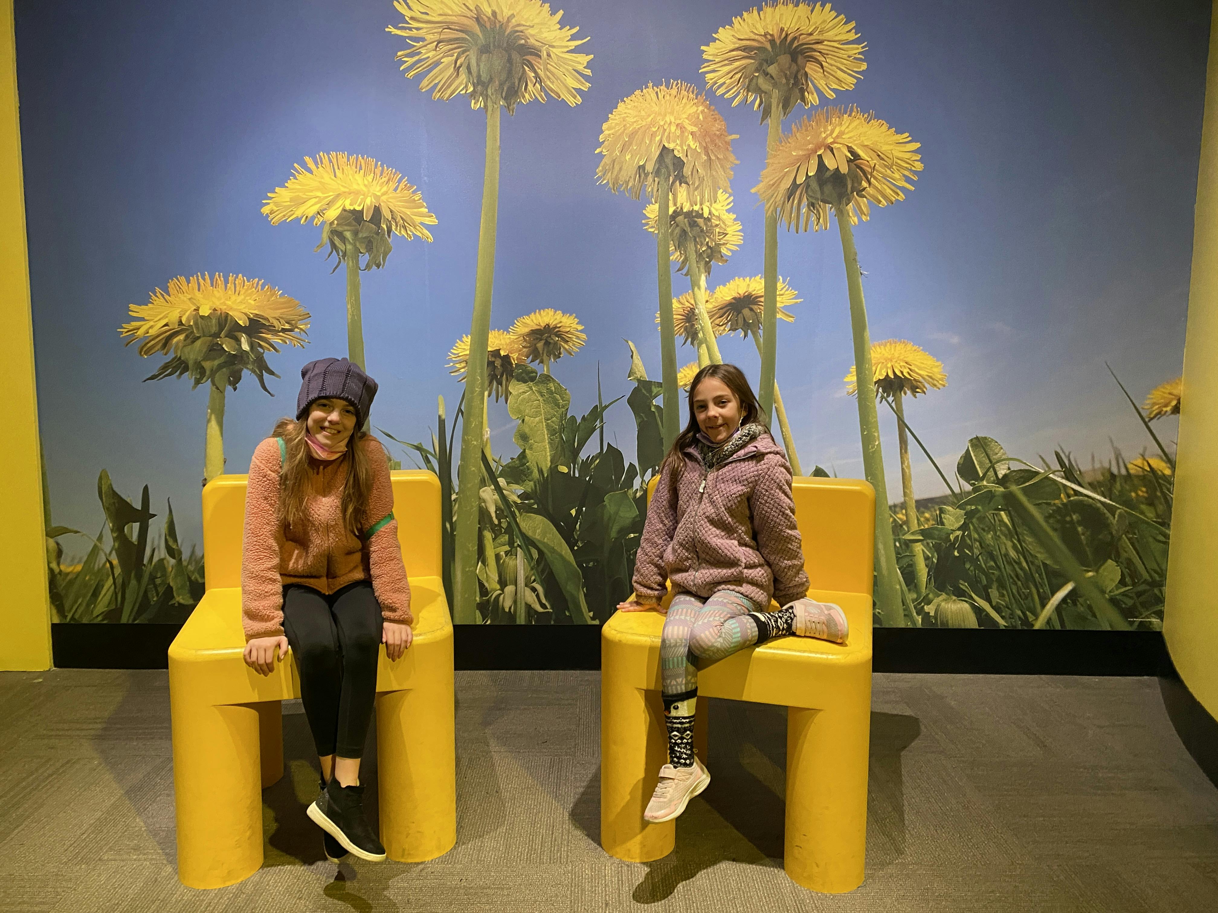 The Field Museum Tickets - Chicago | Tiqets.com