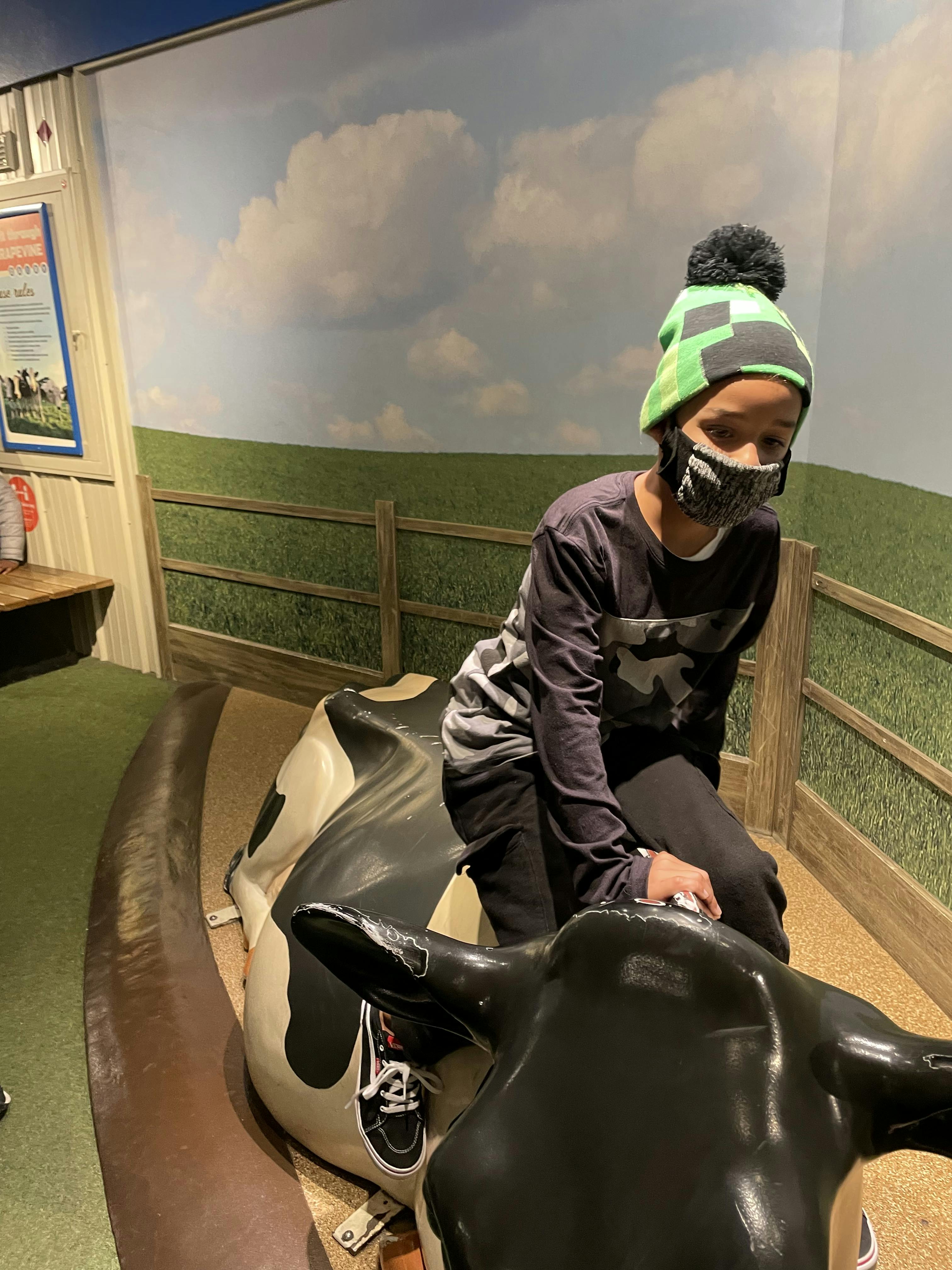 The Field Museum Tickets - Chicago | Tiqets.com