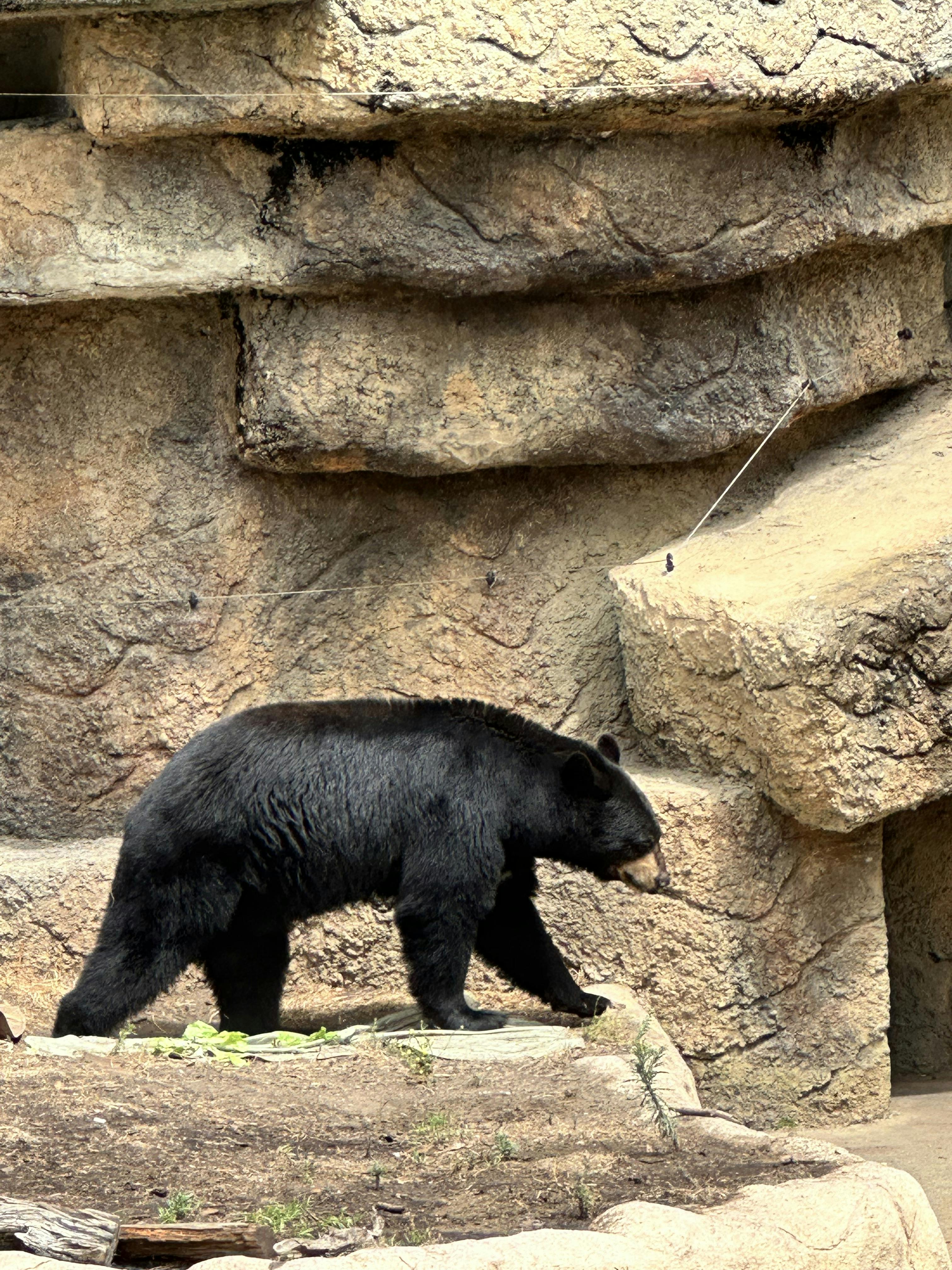 San Francisco Zoo tickets | San Francisco