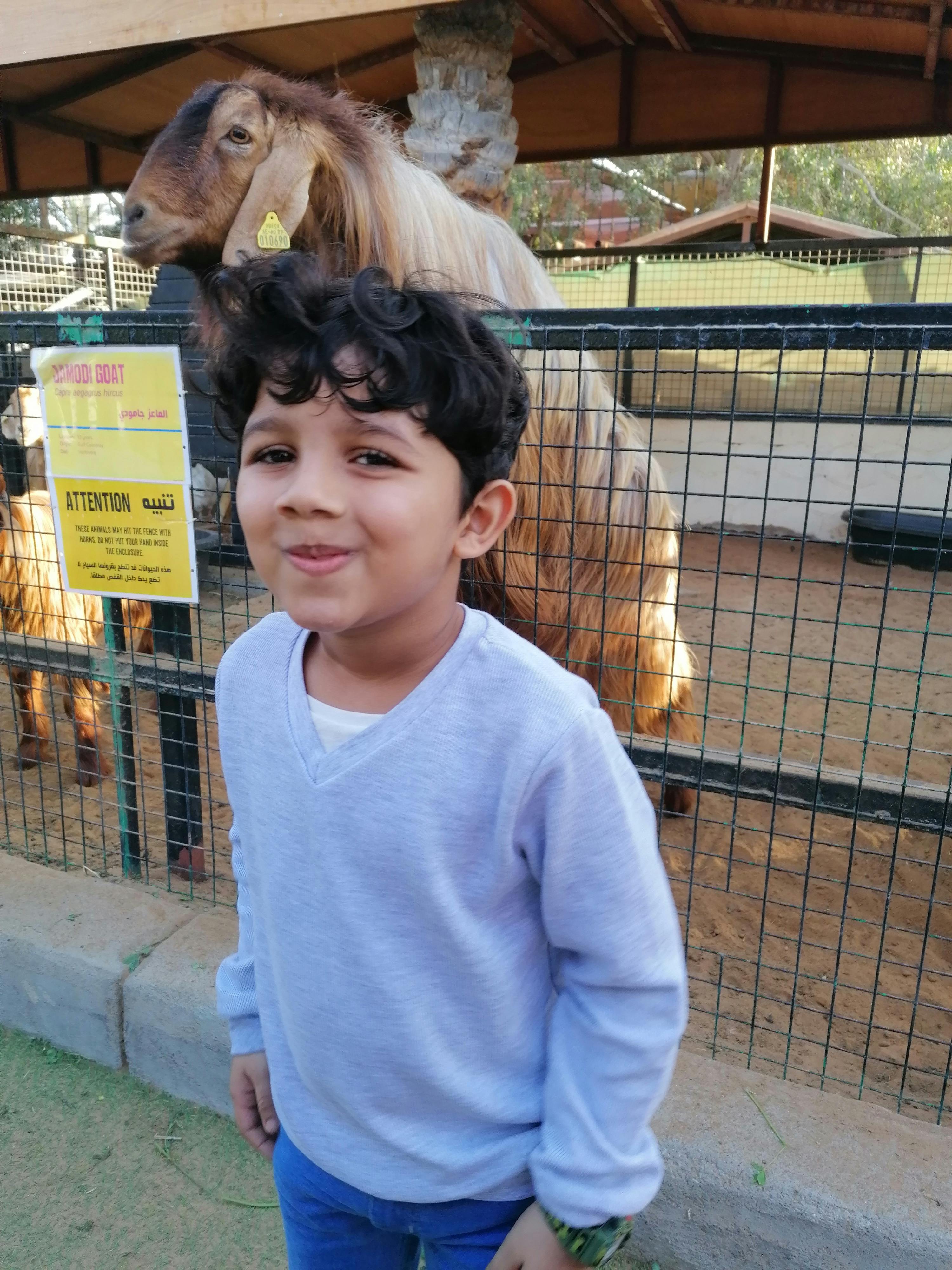 Emirates Park Zoo Tickets - Abu Dhabi | Tiqets.com