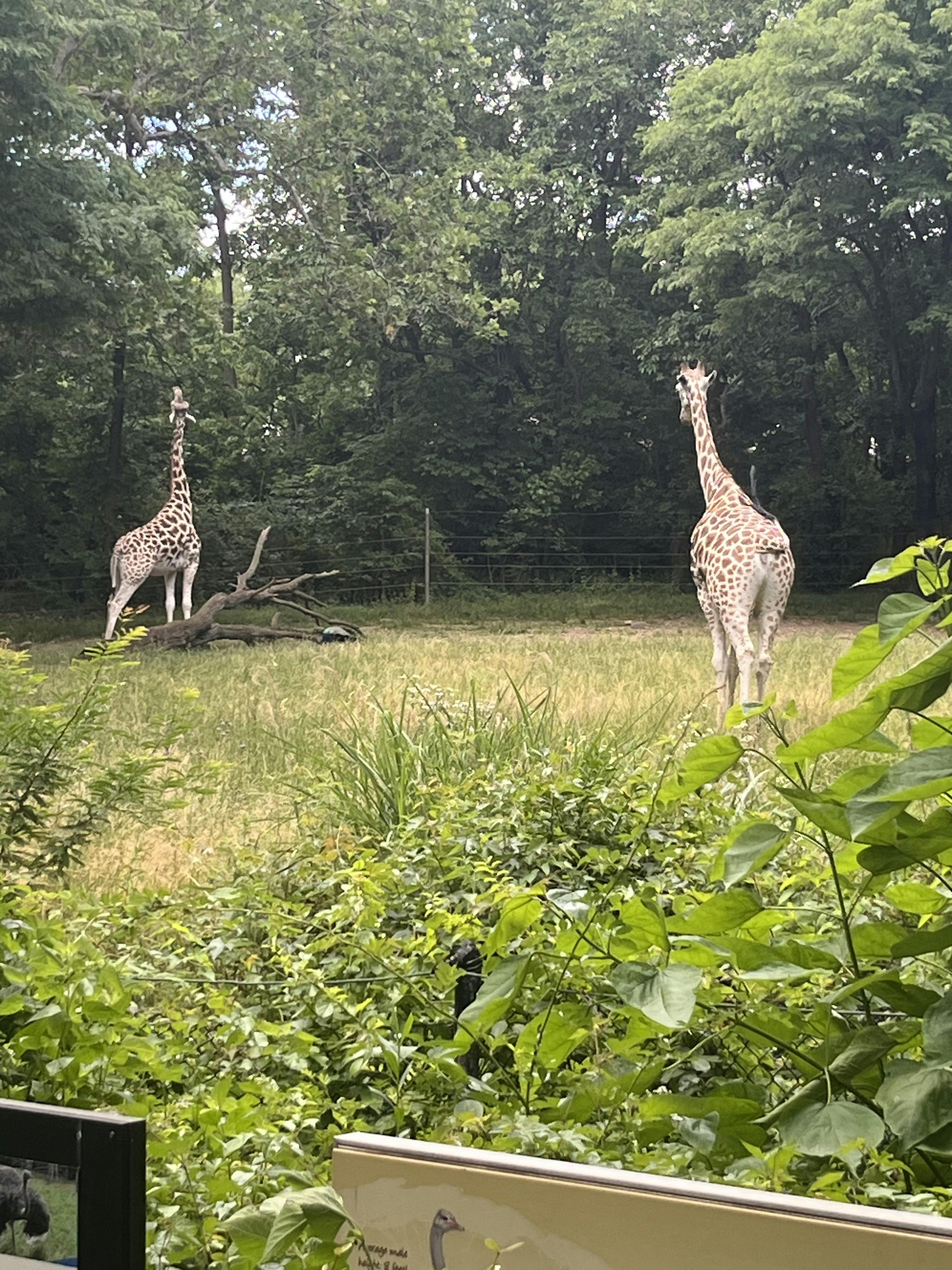 Bronx Zoo tickets | New York