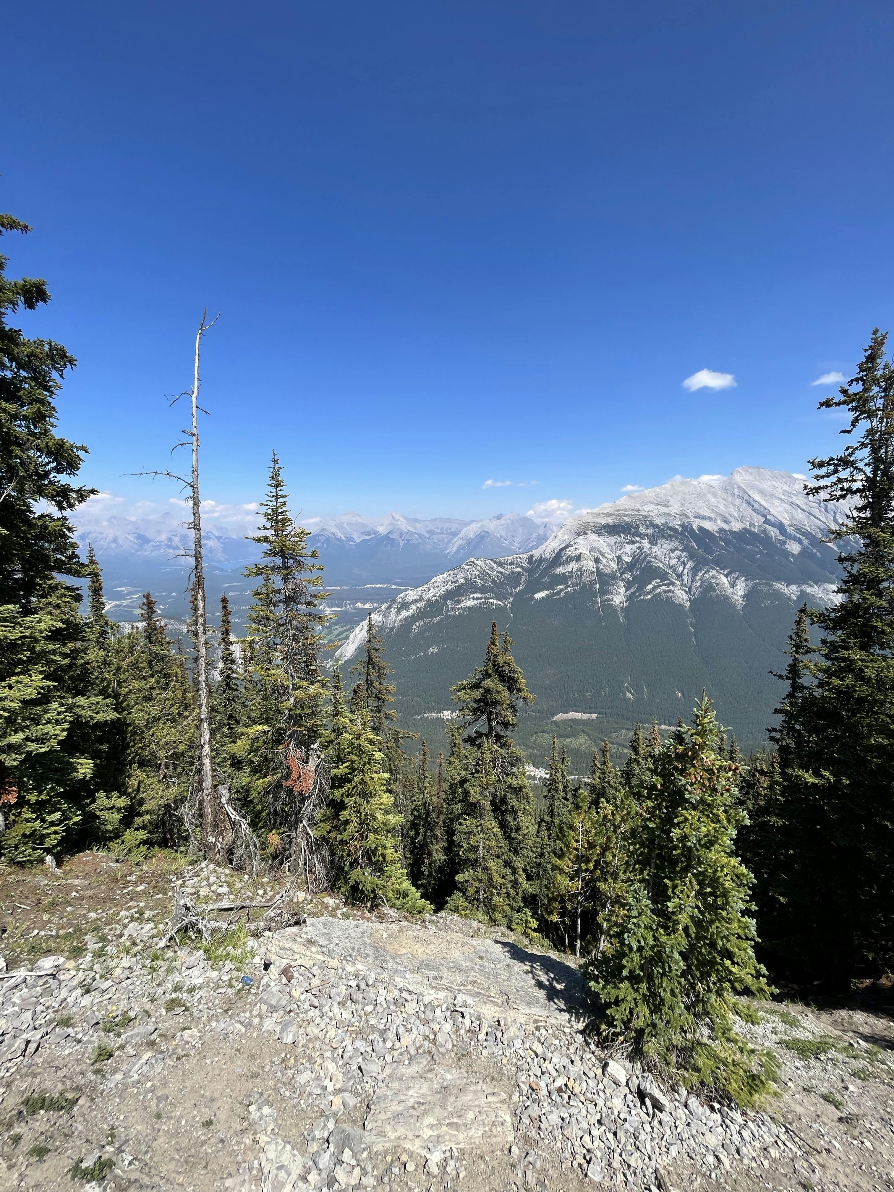 Banff Gondola Tickets - Banff | Tiqets.com