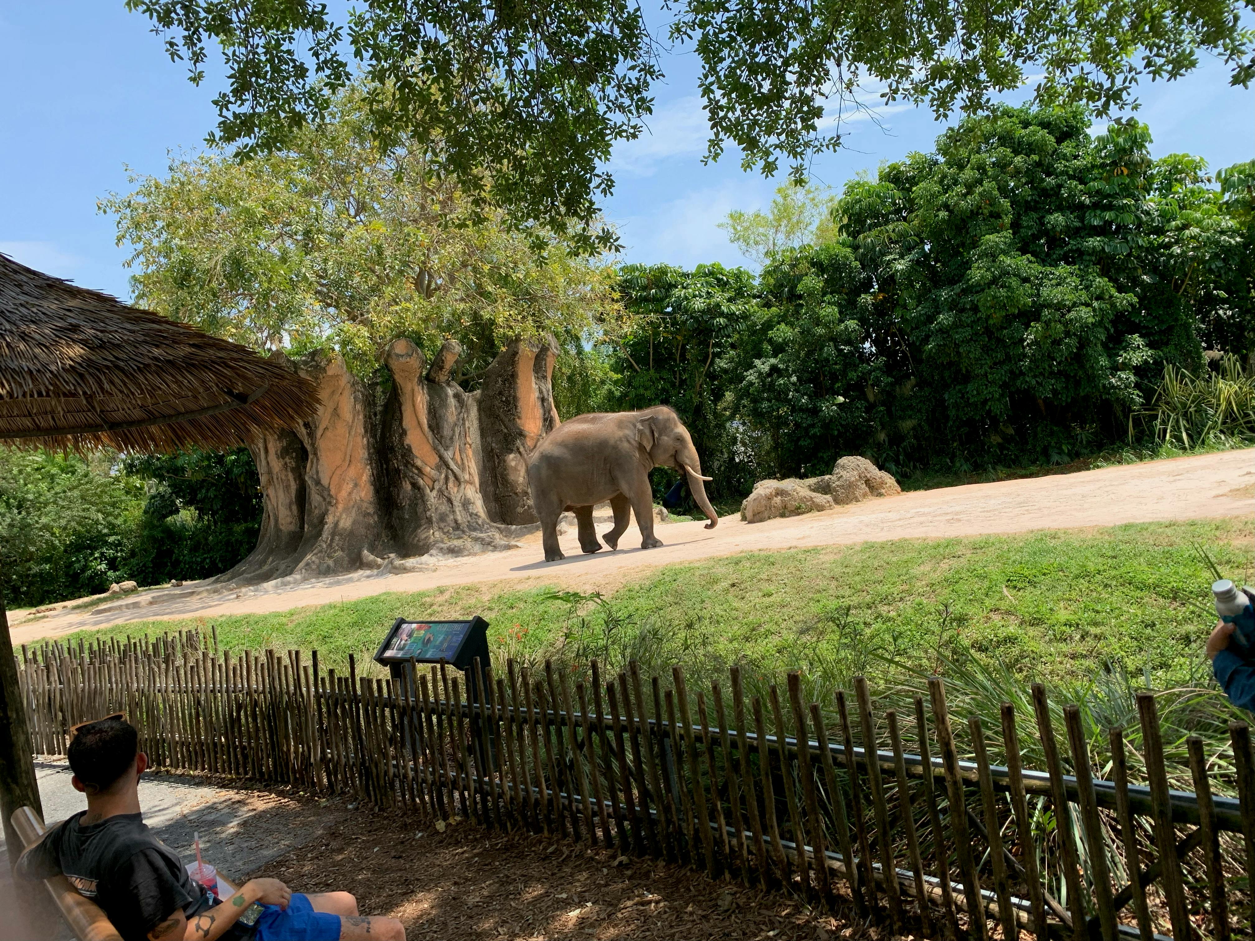 Zoo Miami Tickets - Miami | Tiqets.com