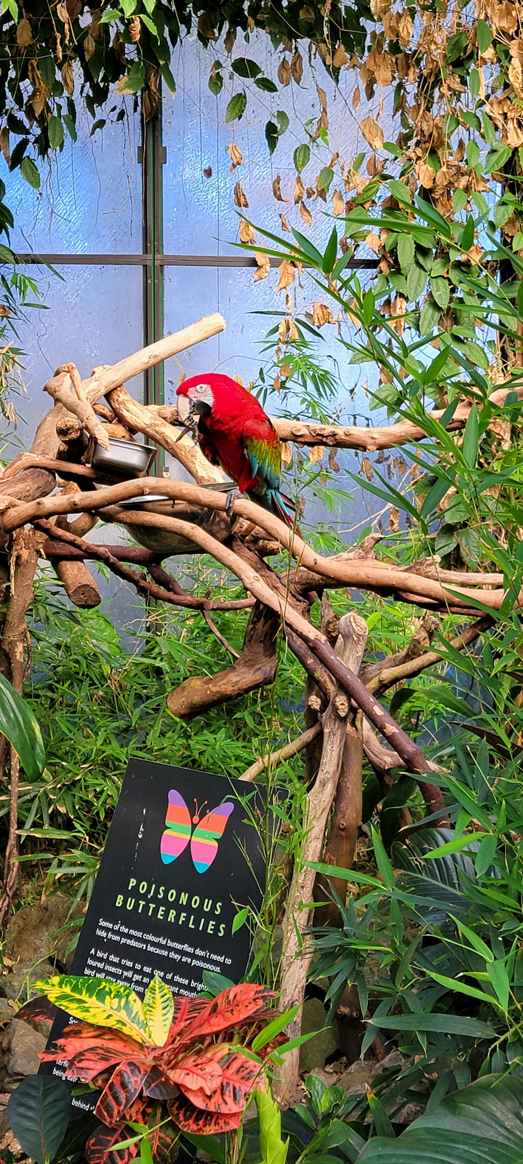 Victoria Butterfly Gardens tickets | Victoria