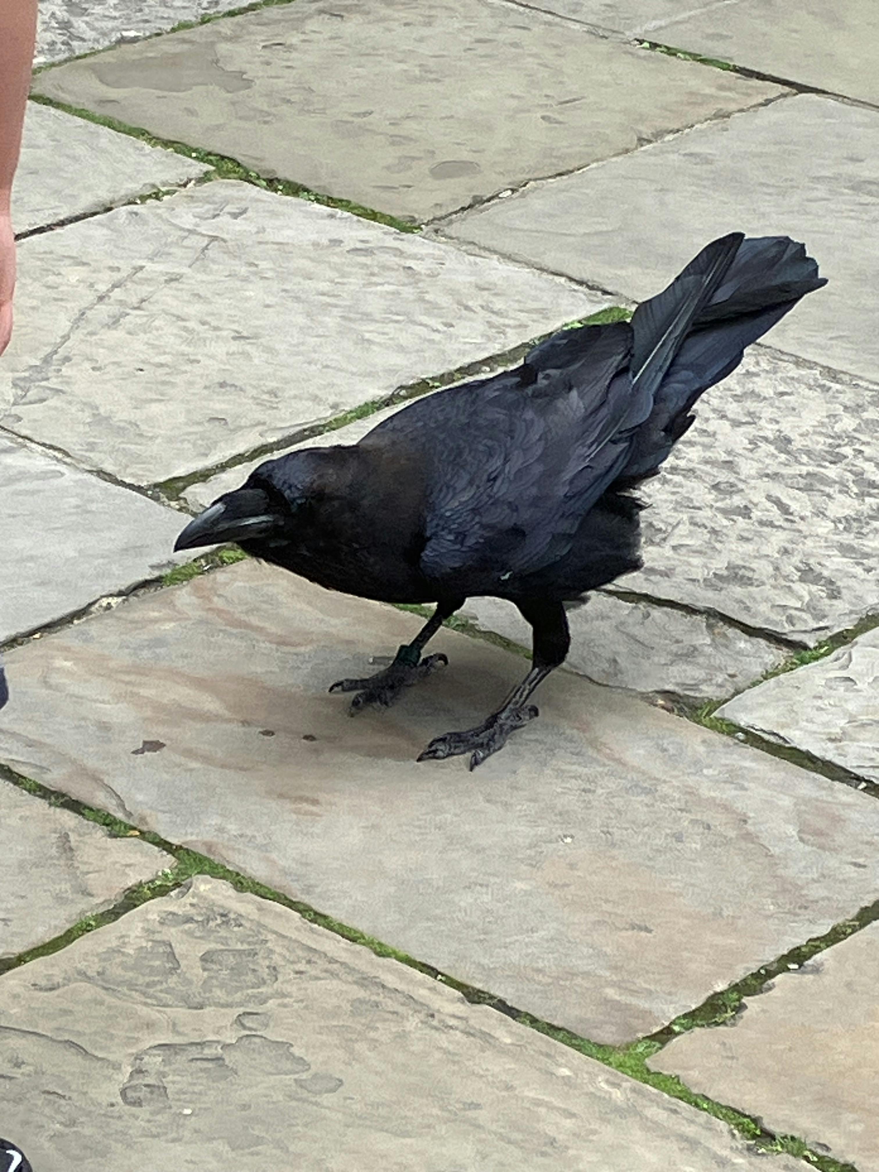 The Tower of London Tickets | Tiqets