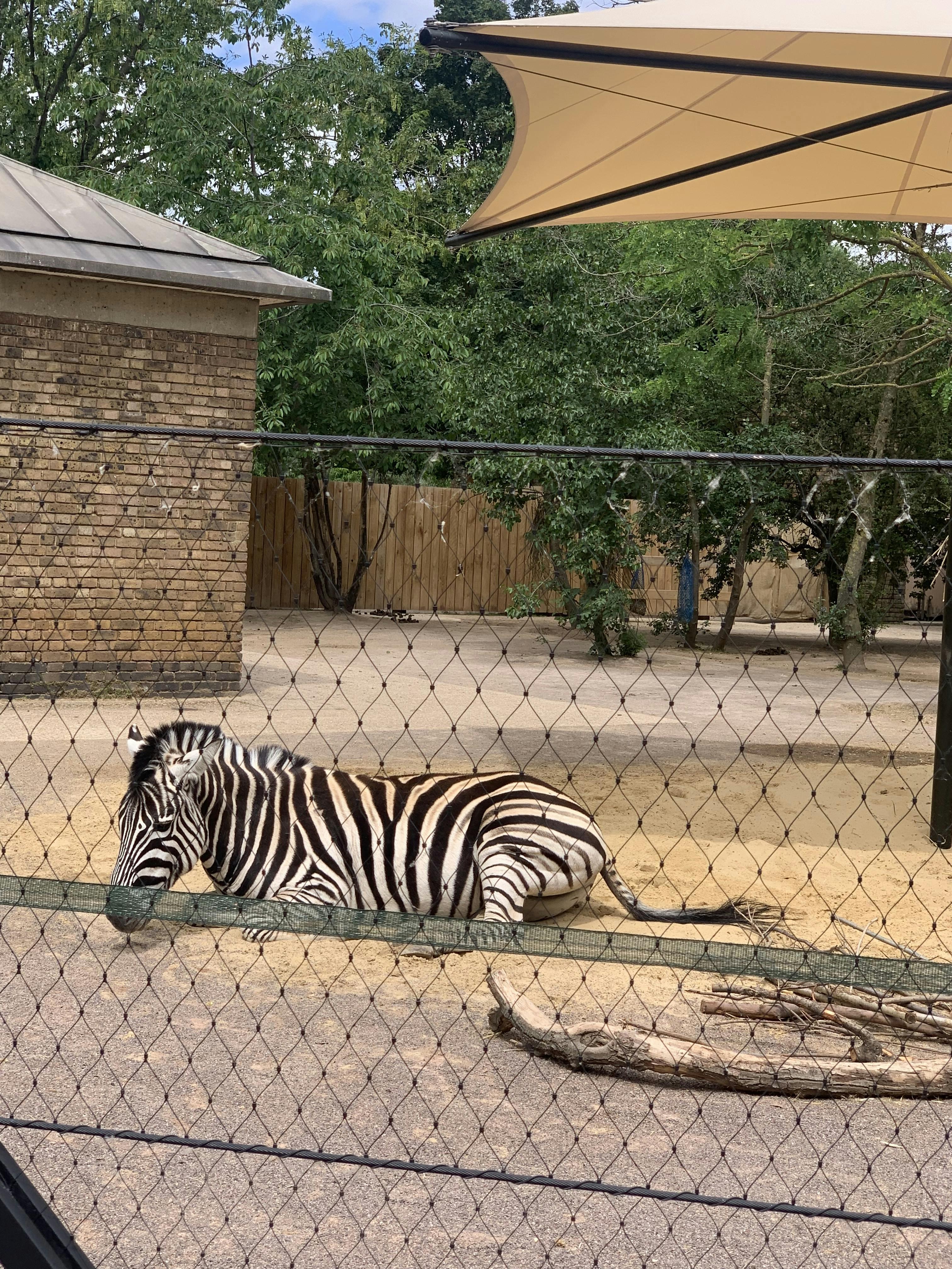 ZSL London Zoo Tickets - London | Tiqets.com