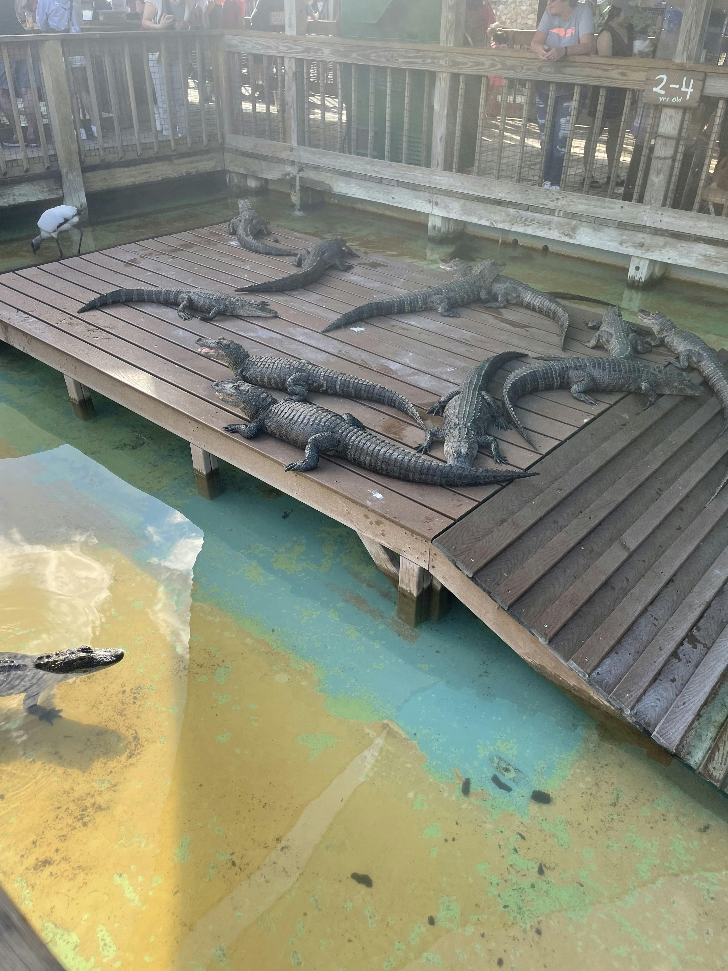 Gatorland Orlando General Admission: Fast Track Ticket