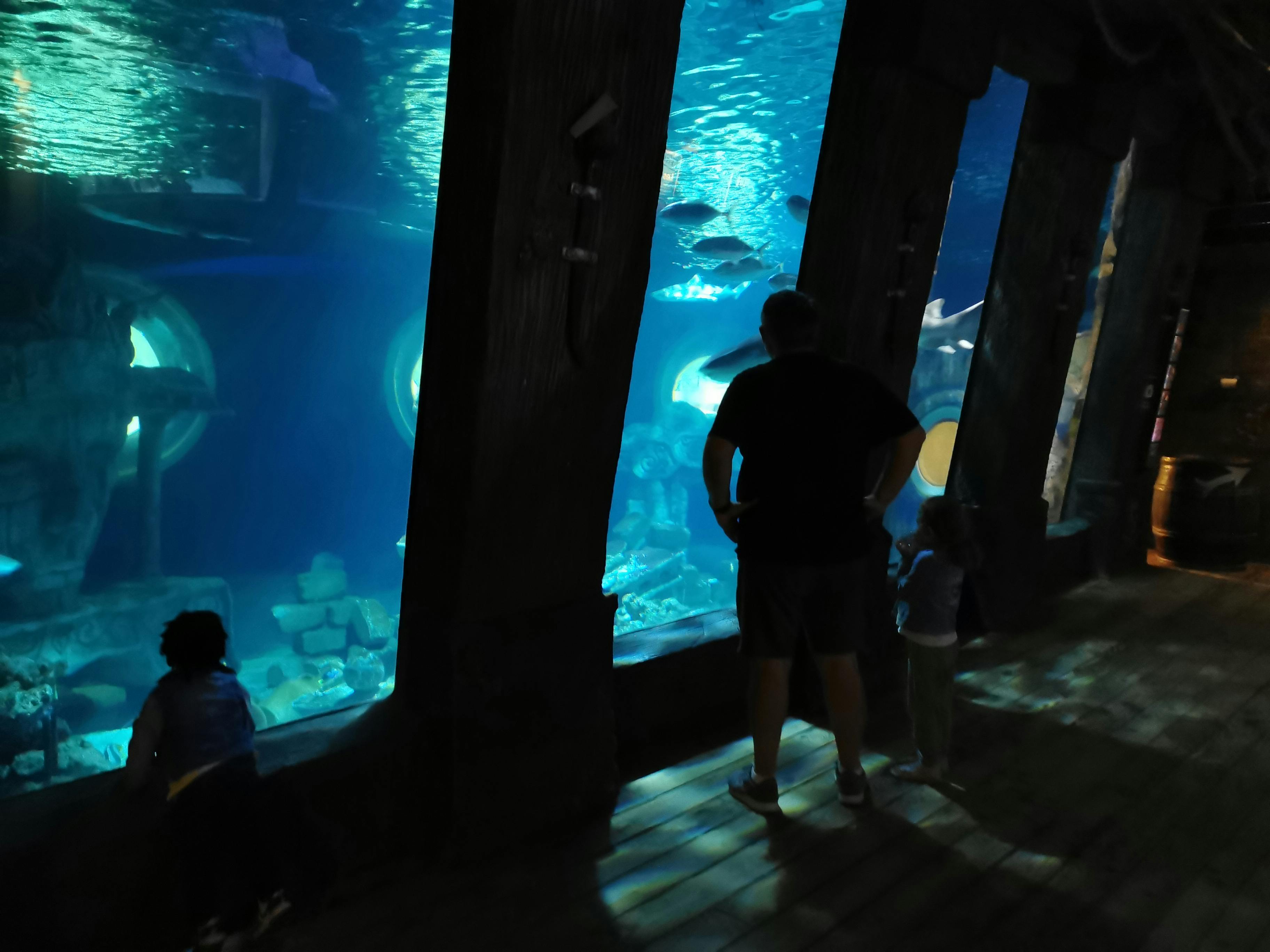 Aquarium SEA LIFE Paris | Tiqets