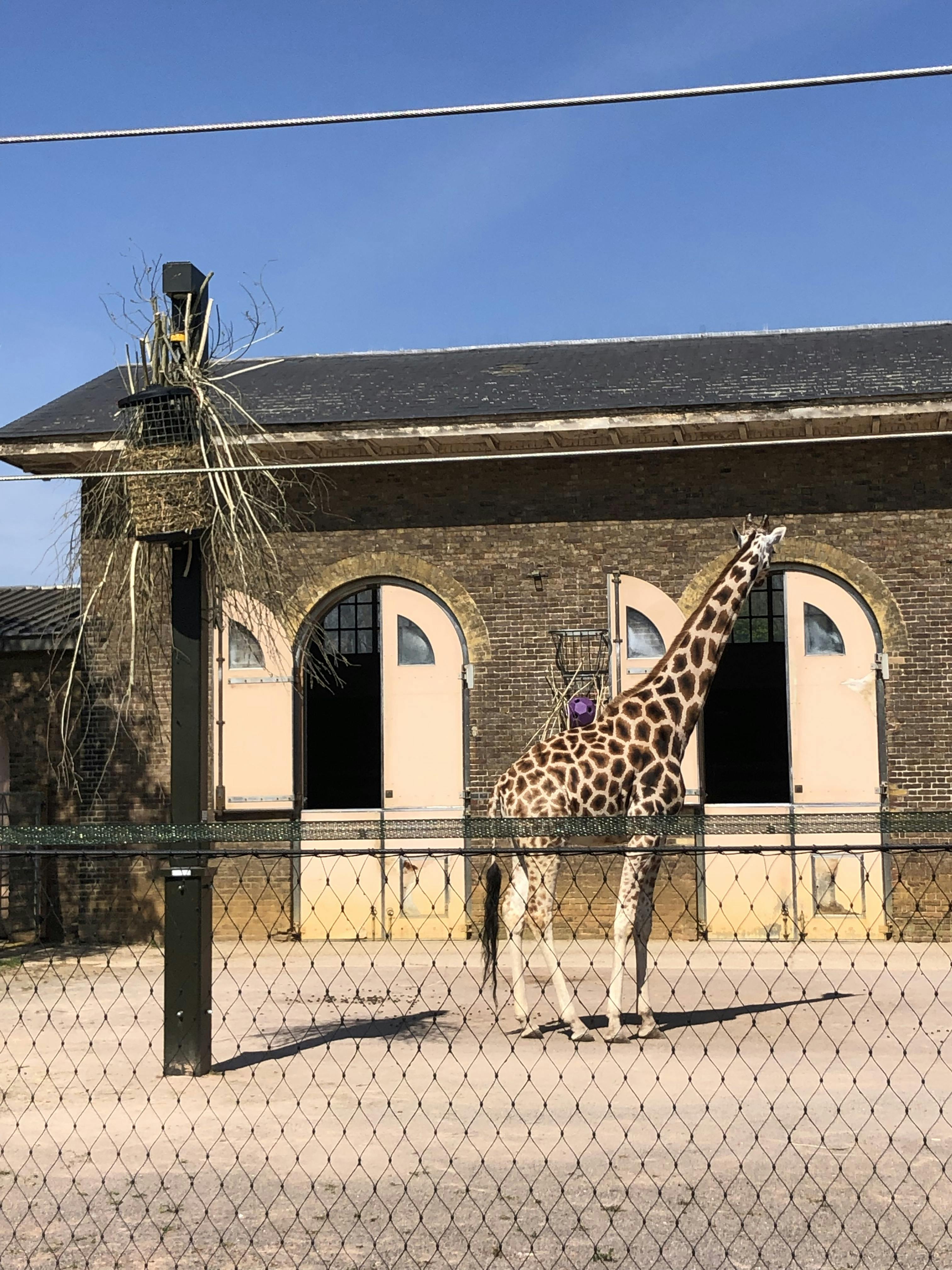 ZSL London Zoo Tickets - London | Tiqets.com