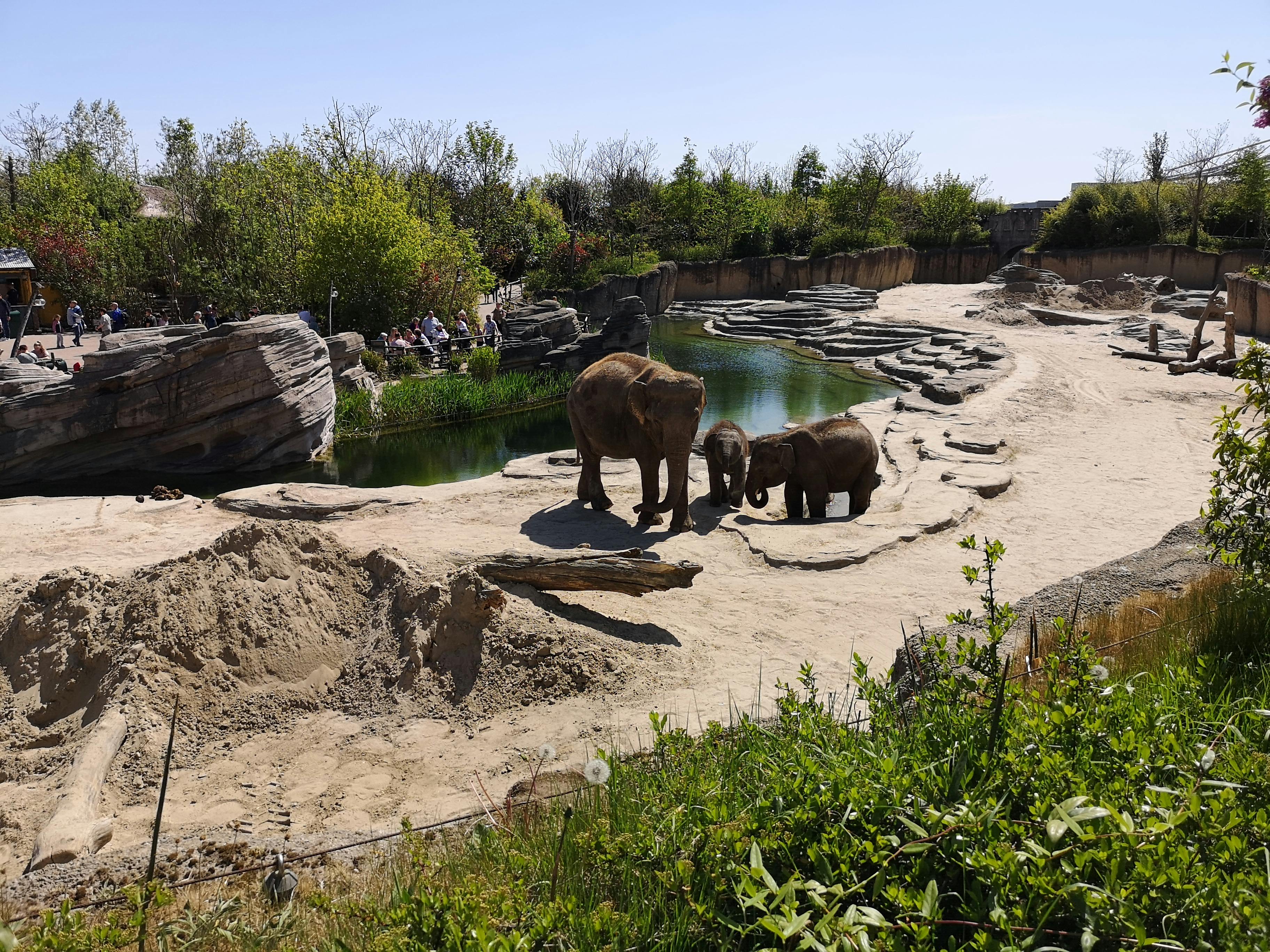 WILDLANDS tickets | Emmen