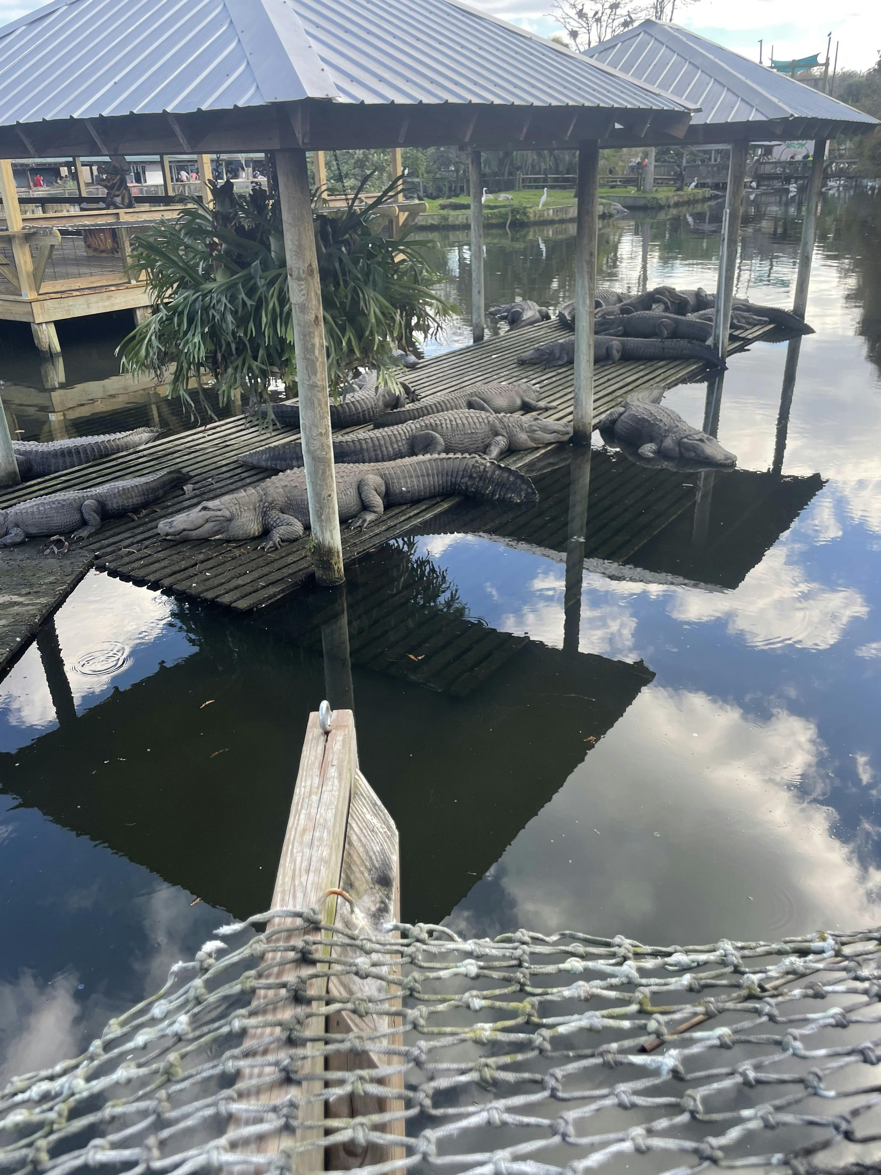 Gatorland Orlando General Admission: Fast Track Ticket